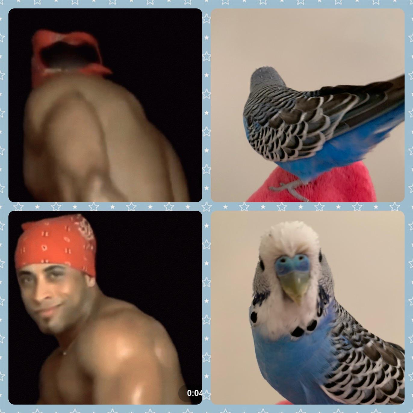 My little Vinny did something familiar | Scrolller