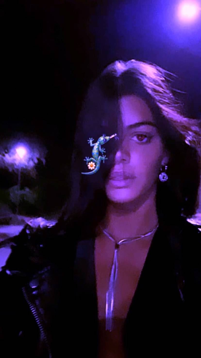 My lizard is going through it's teenager phase (18) | Scrolller