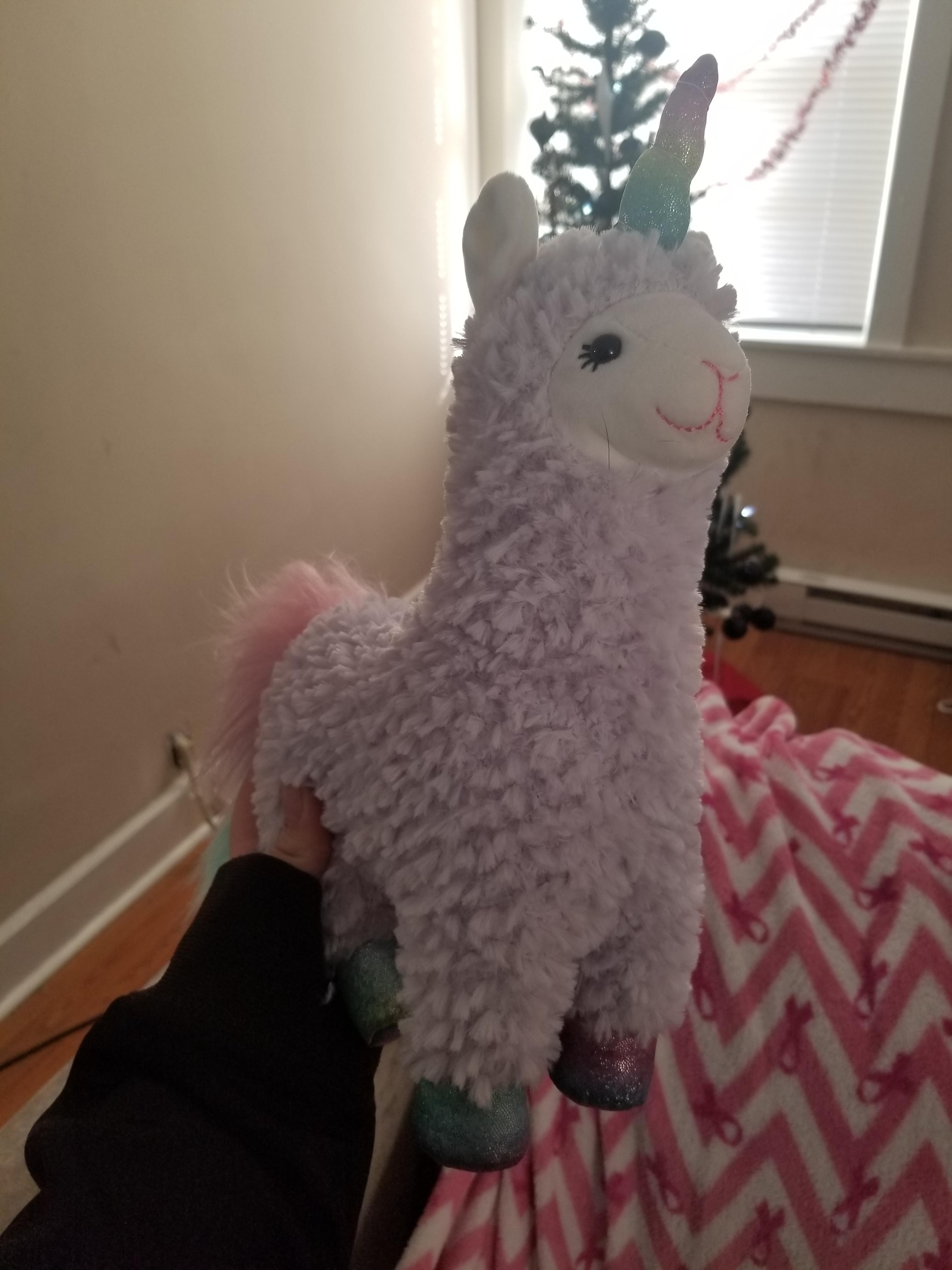My llamacorn, Gladys. | Scrolller