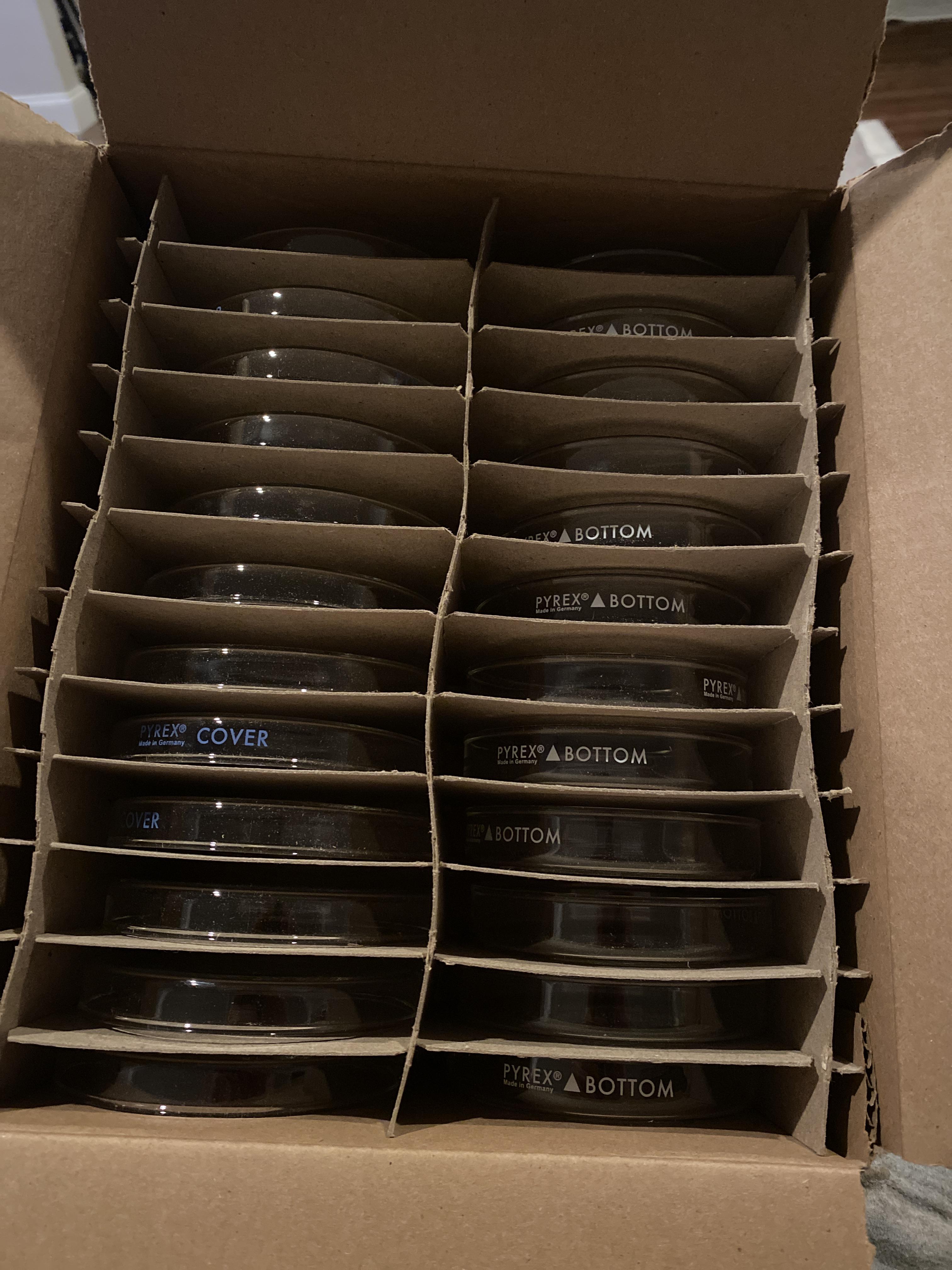 My loving girlfriend hooked it up for my birthday! Leveling up my agar game! 🚀 | Scrolller