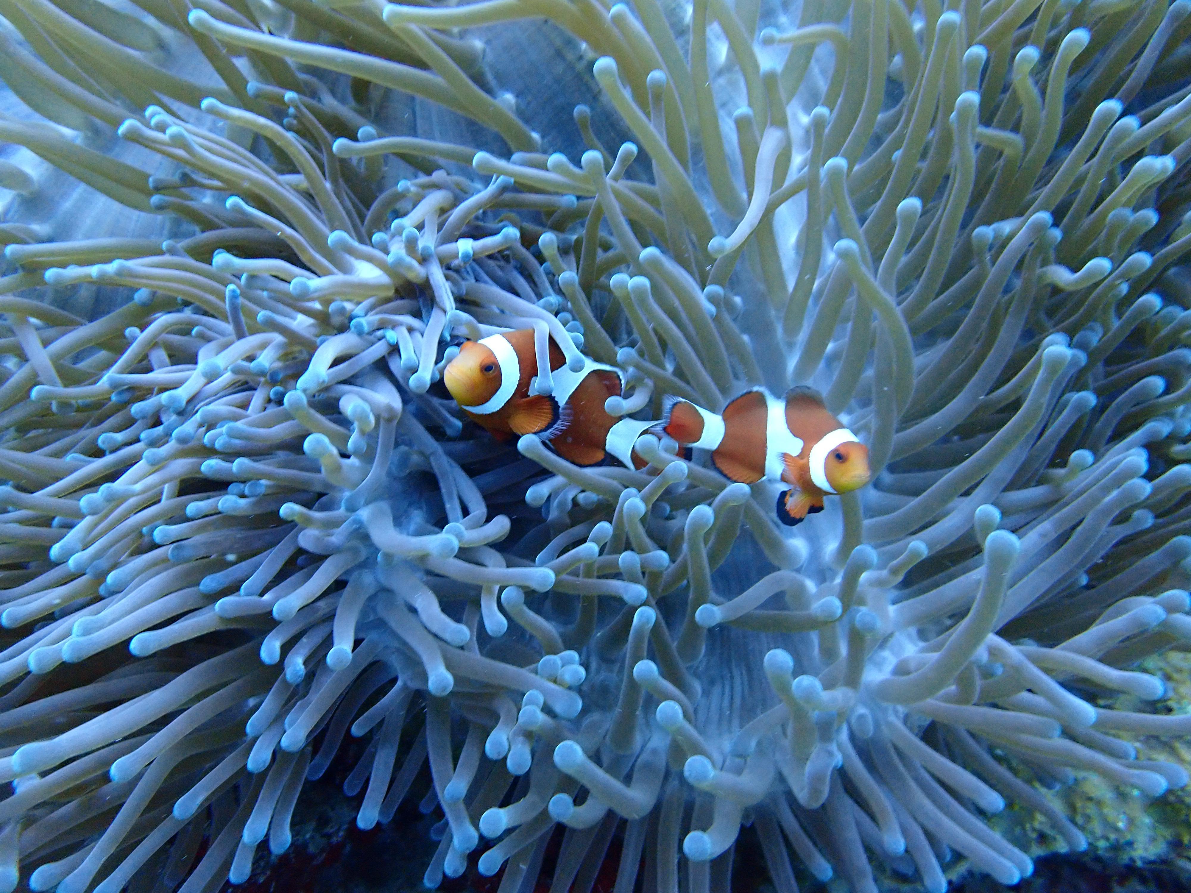 My lucky shot | Scrolller