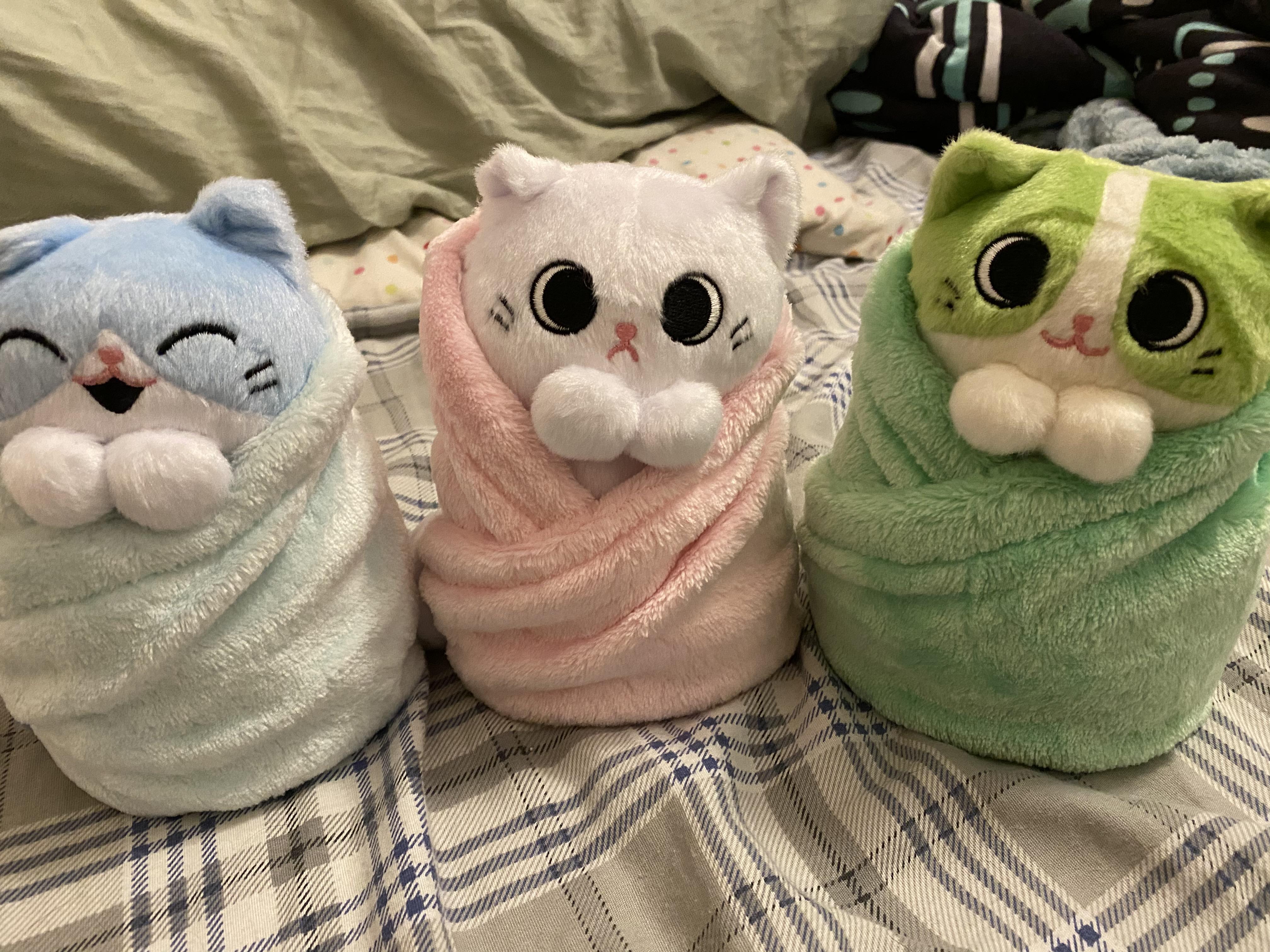 My Mommy surprised me with new friends today!! Meet Tuna, Mochi and Matcha! | Scrolller