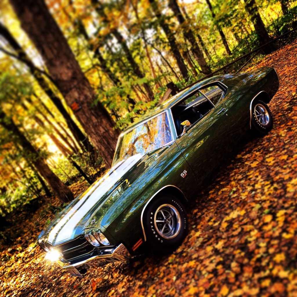 My mom's 70 Chevelle LS6 454 all original | Scrolller