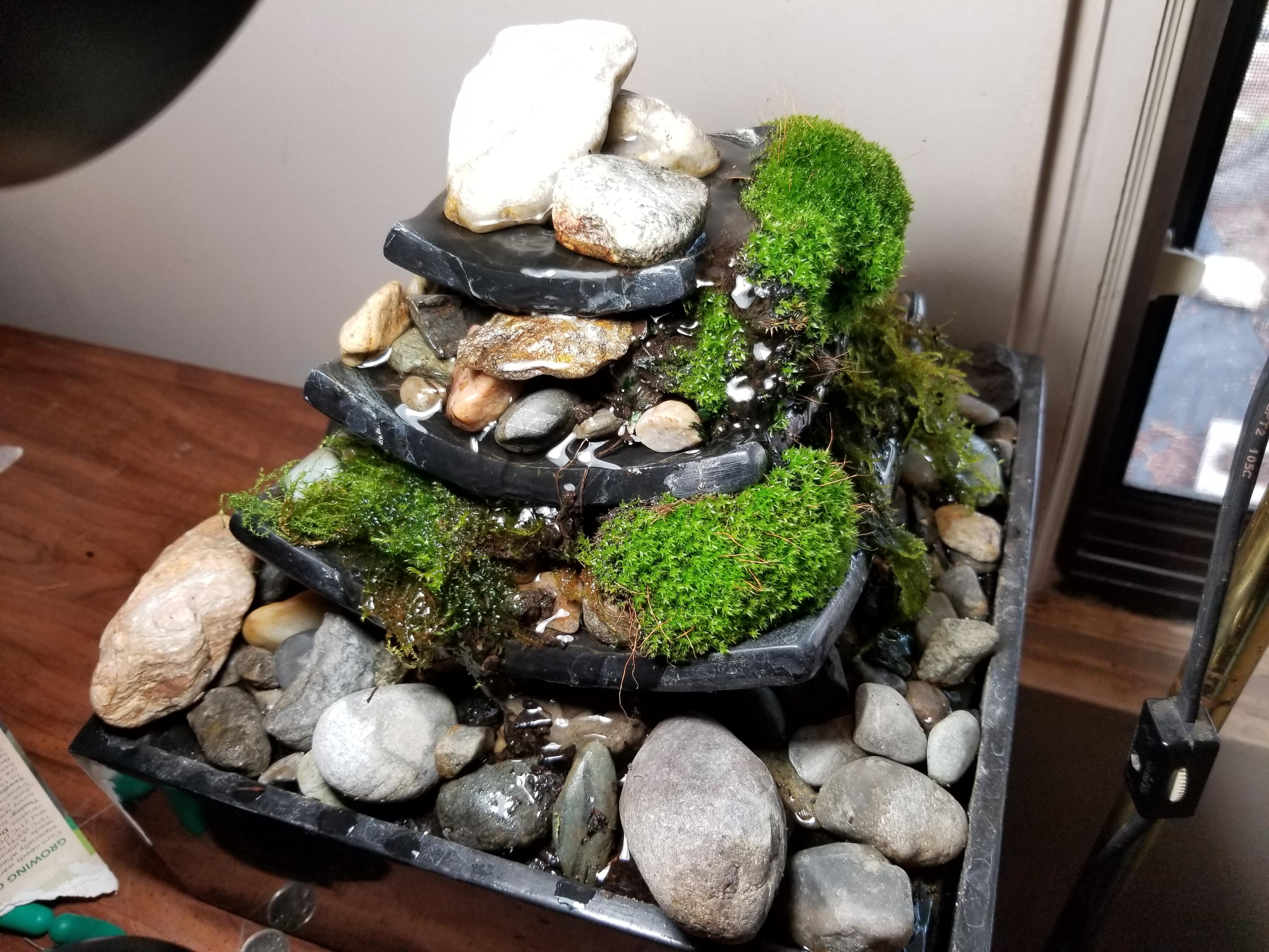 My moss fountain | Scrolller