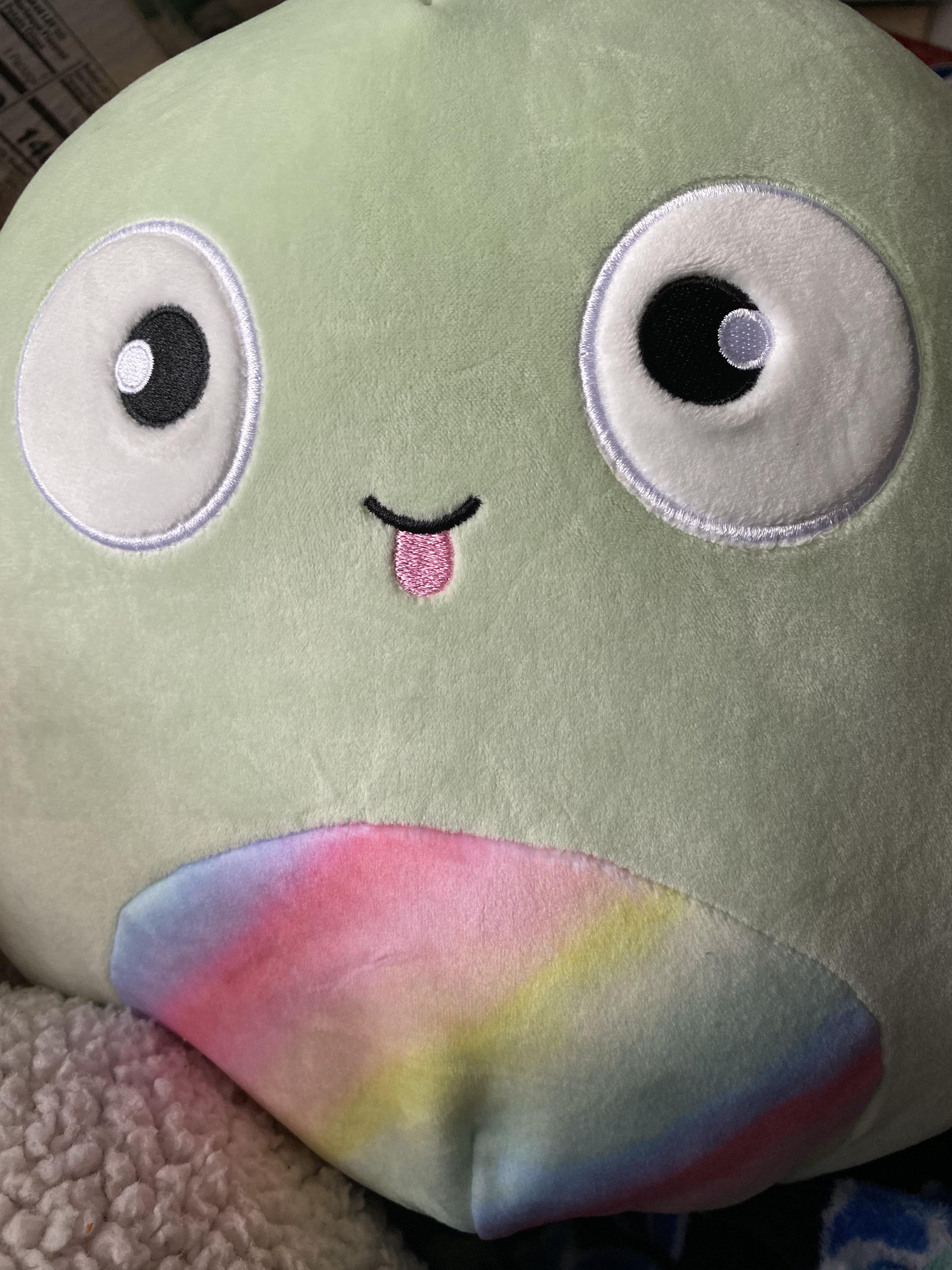 My new best buddy! Kent the chameleon! | Scrolller