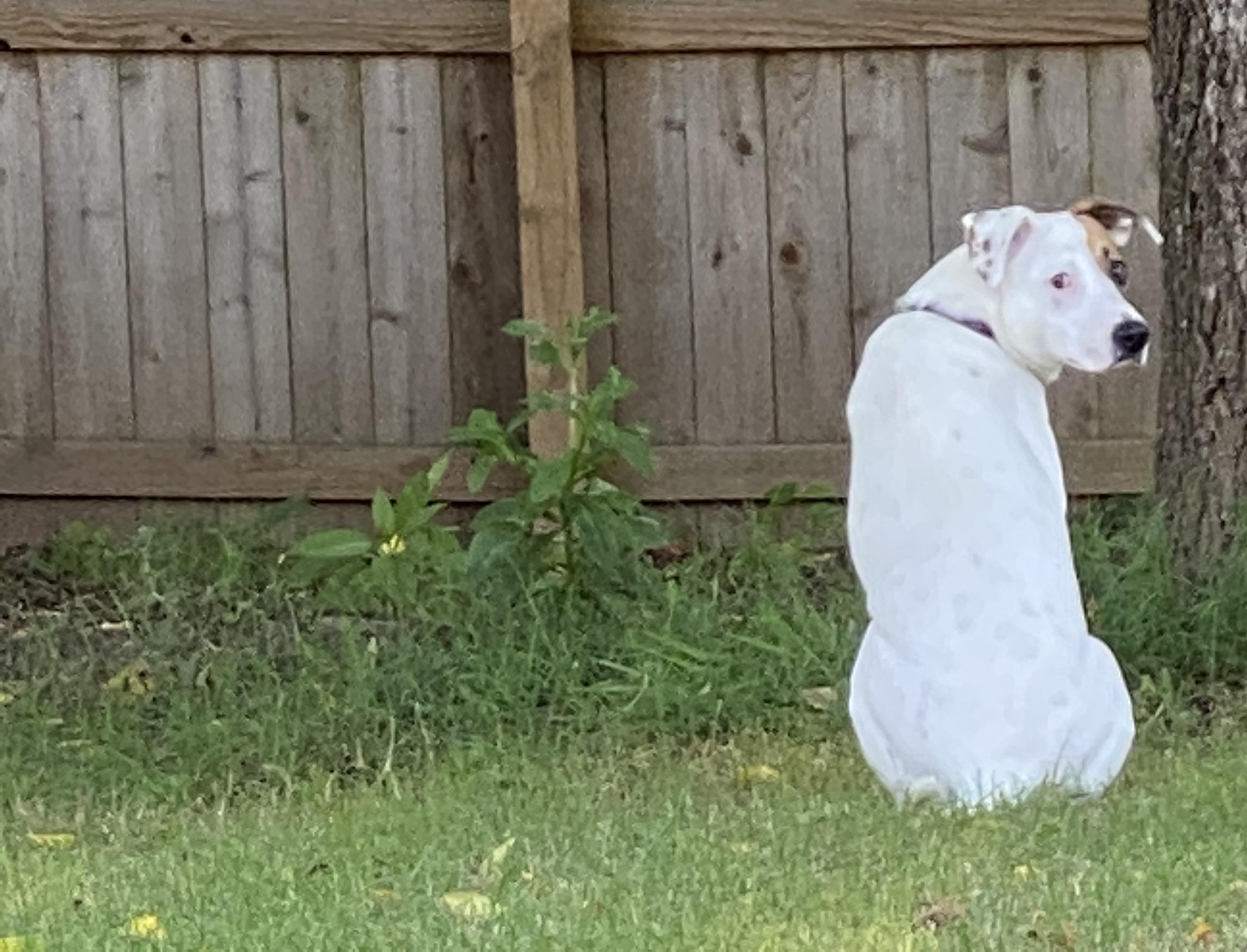 My new computer wallpaper | Scrolller