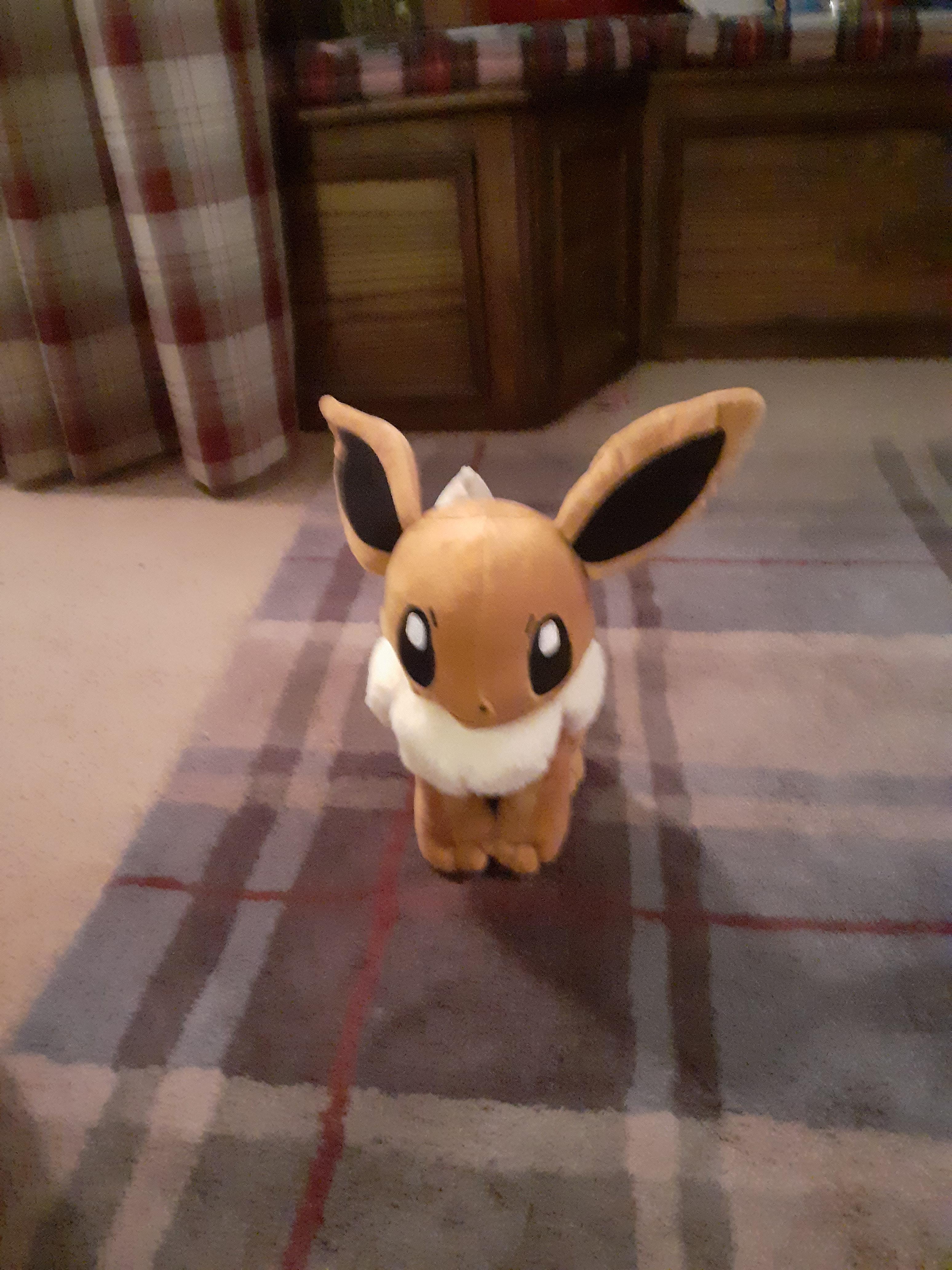 My new Eevee plush | Scrolller