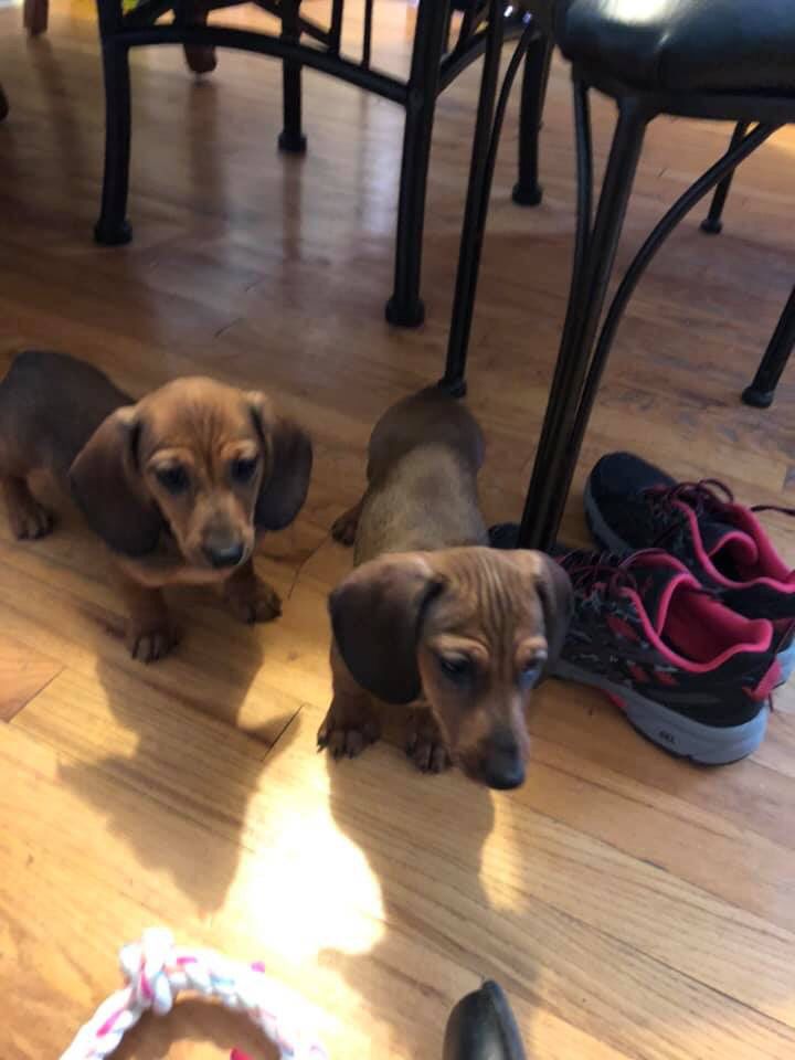 My new little babies | Scrolller