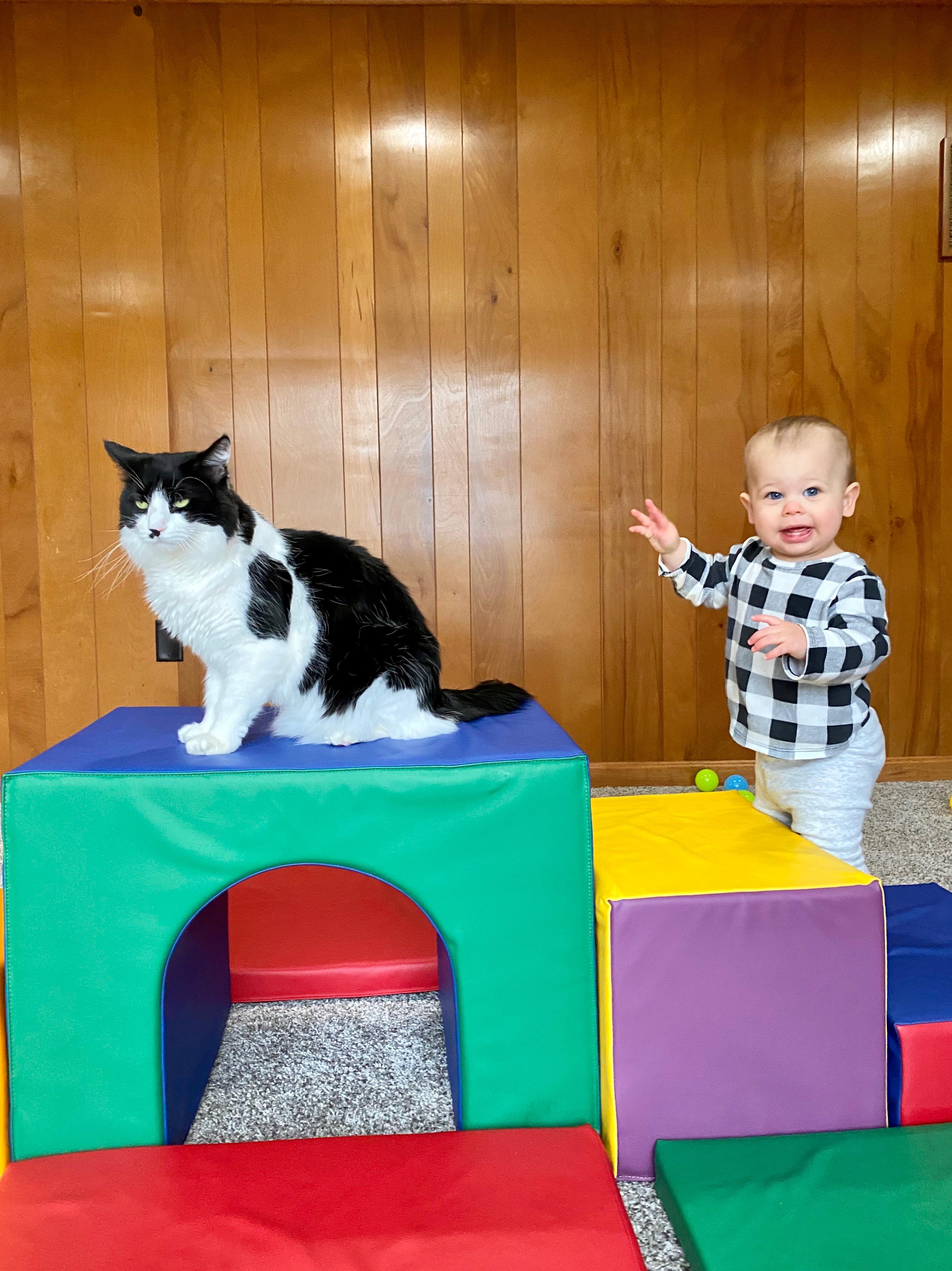 My niece and her kitler | Scrolller