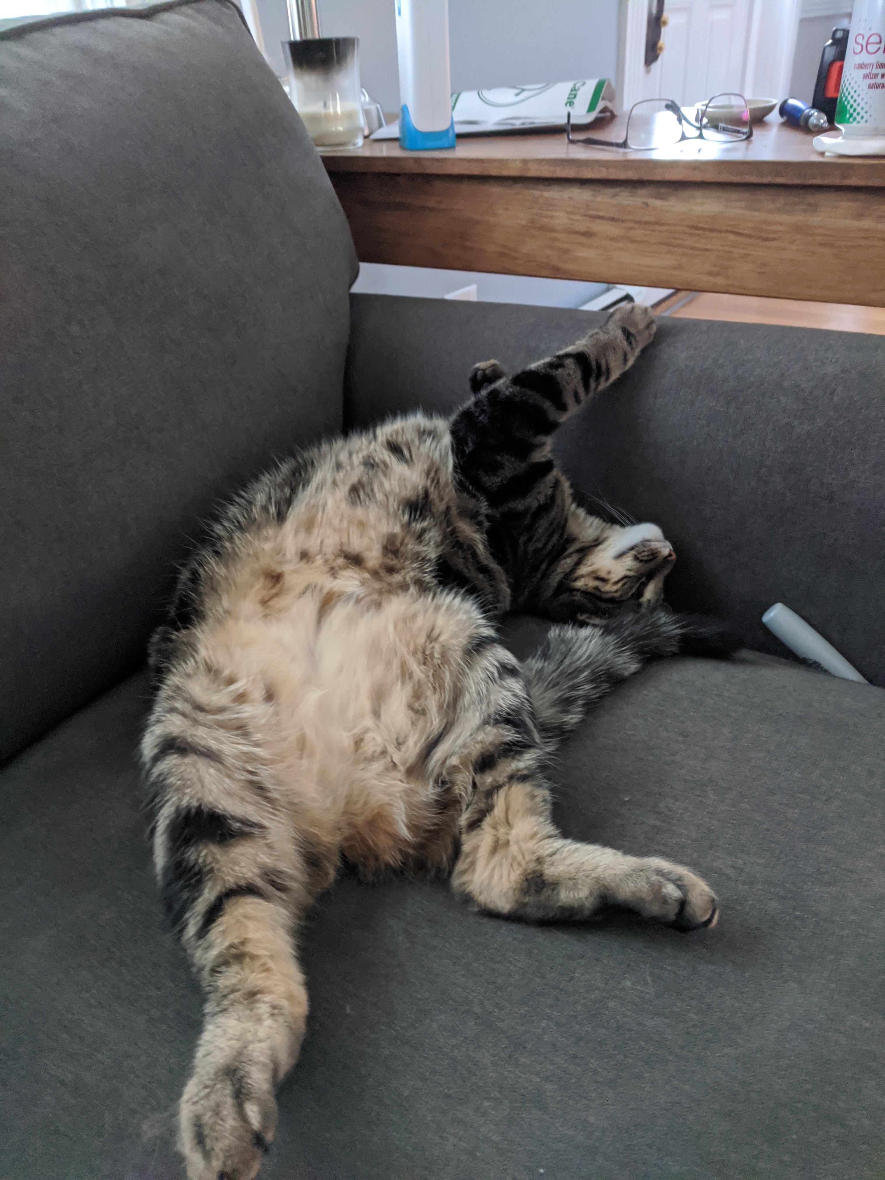 My noodle girl Chianti | Scrolller