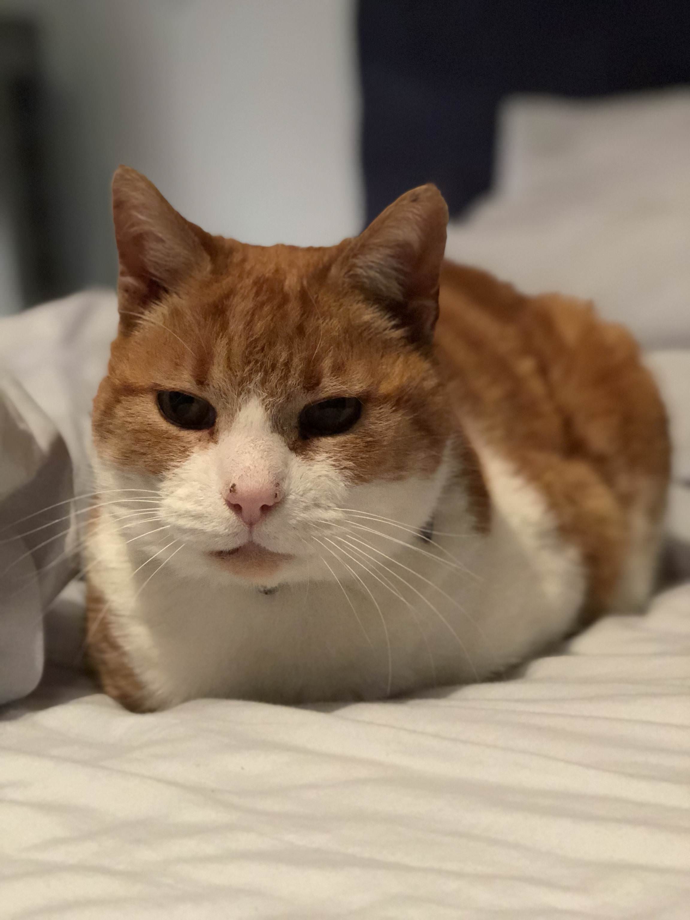 My old boi being an old loaf | Scrolller