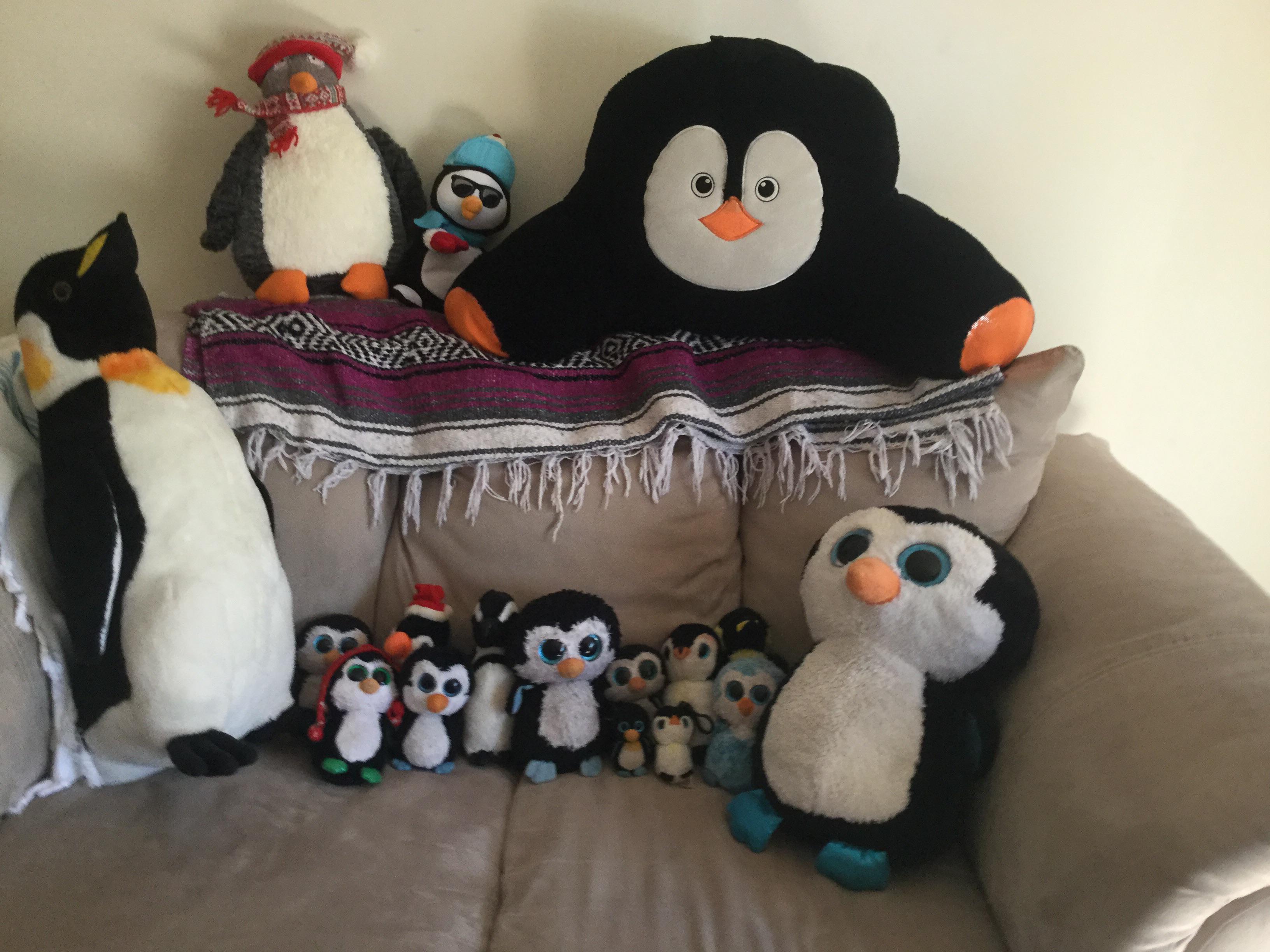 My penguins | Scrolller