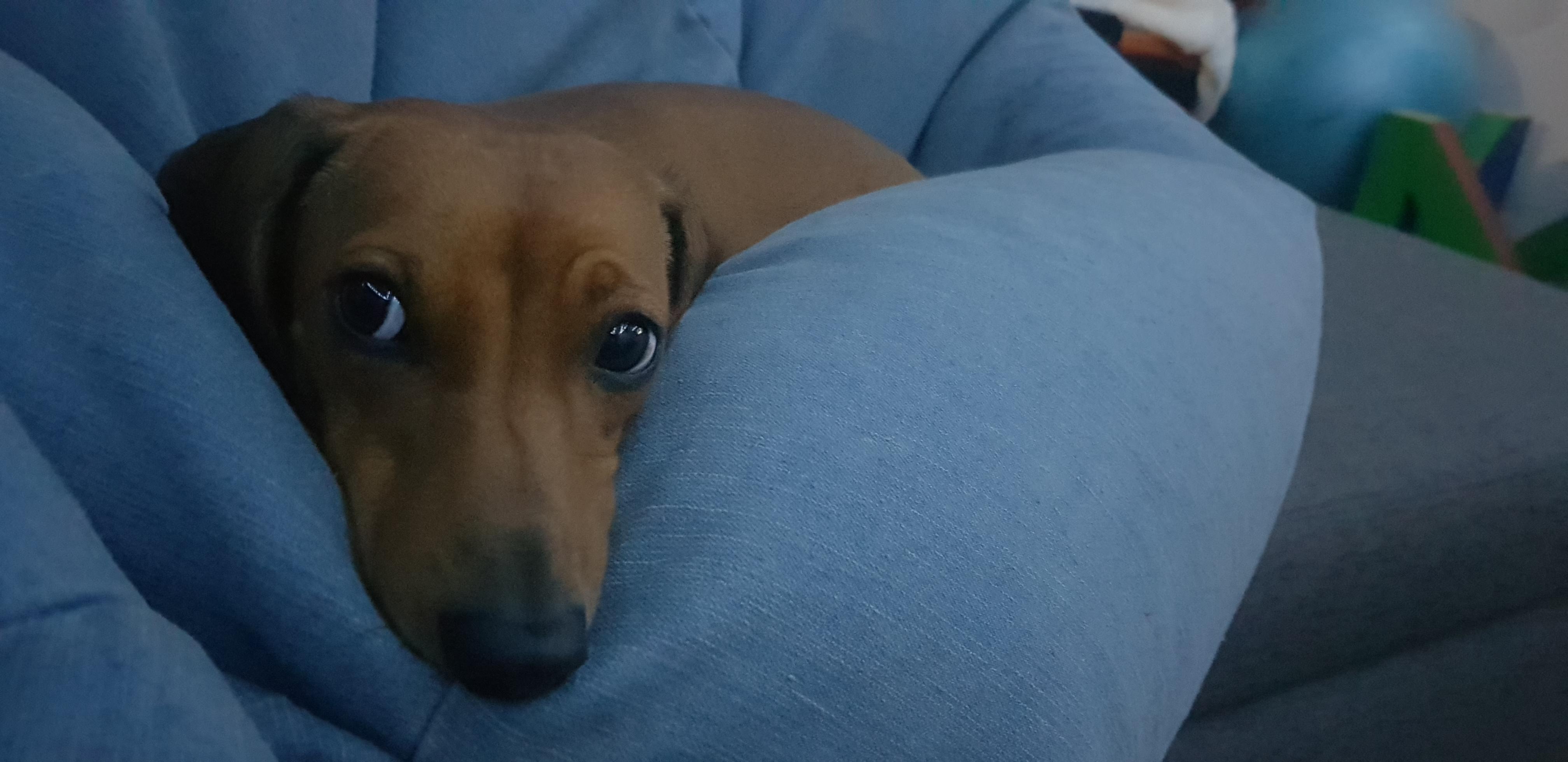 My Phoebe :3 | Scrolller