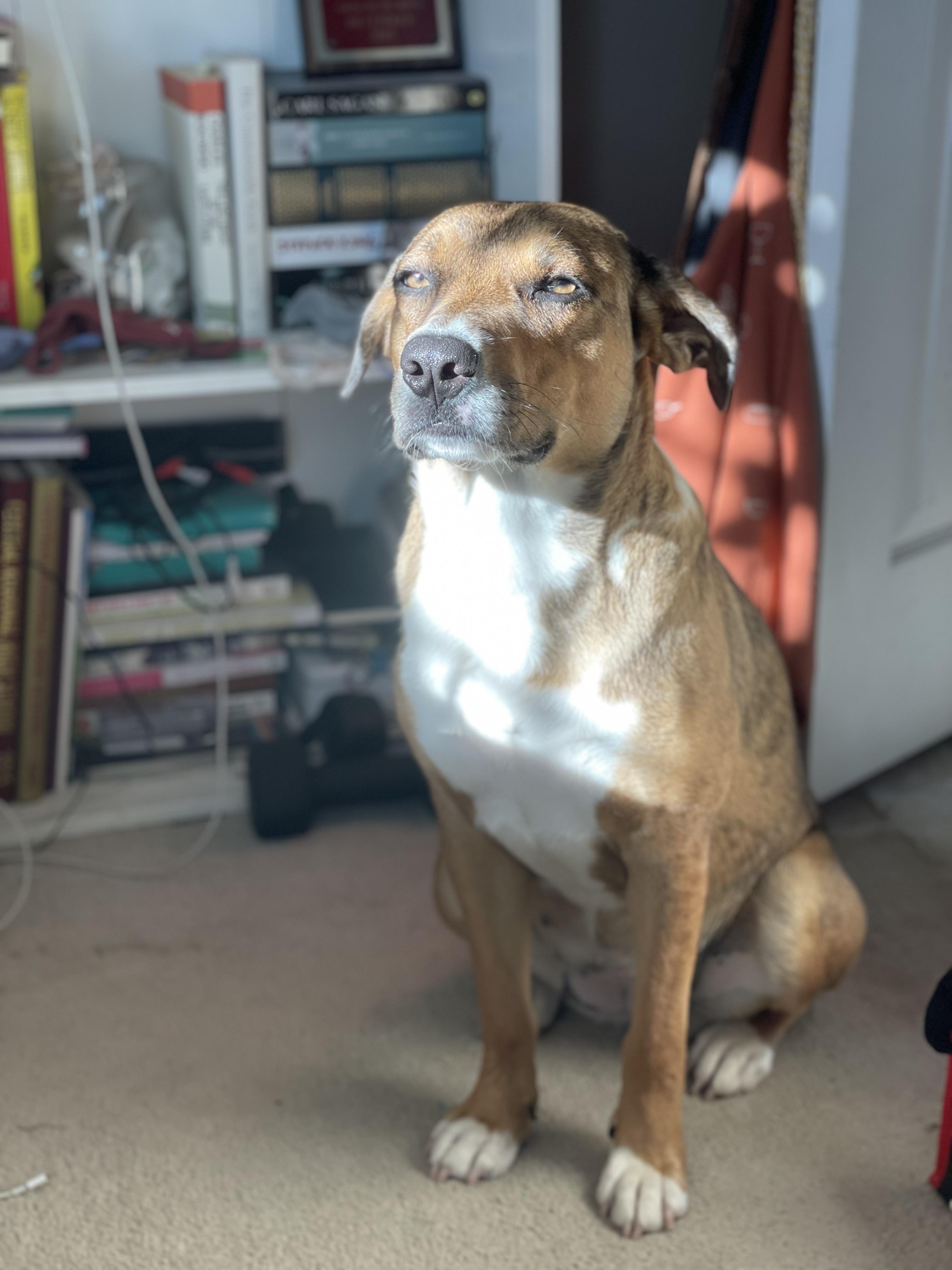 my pretty noodle | Scrolller