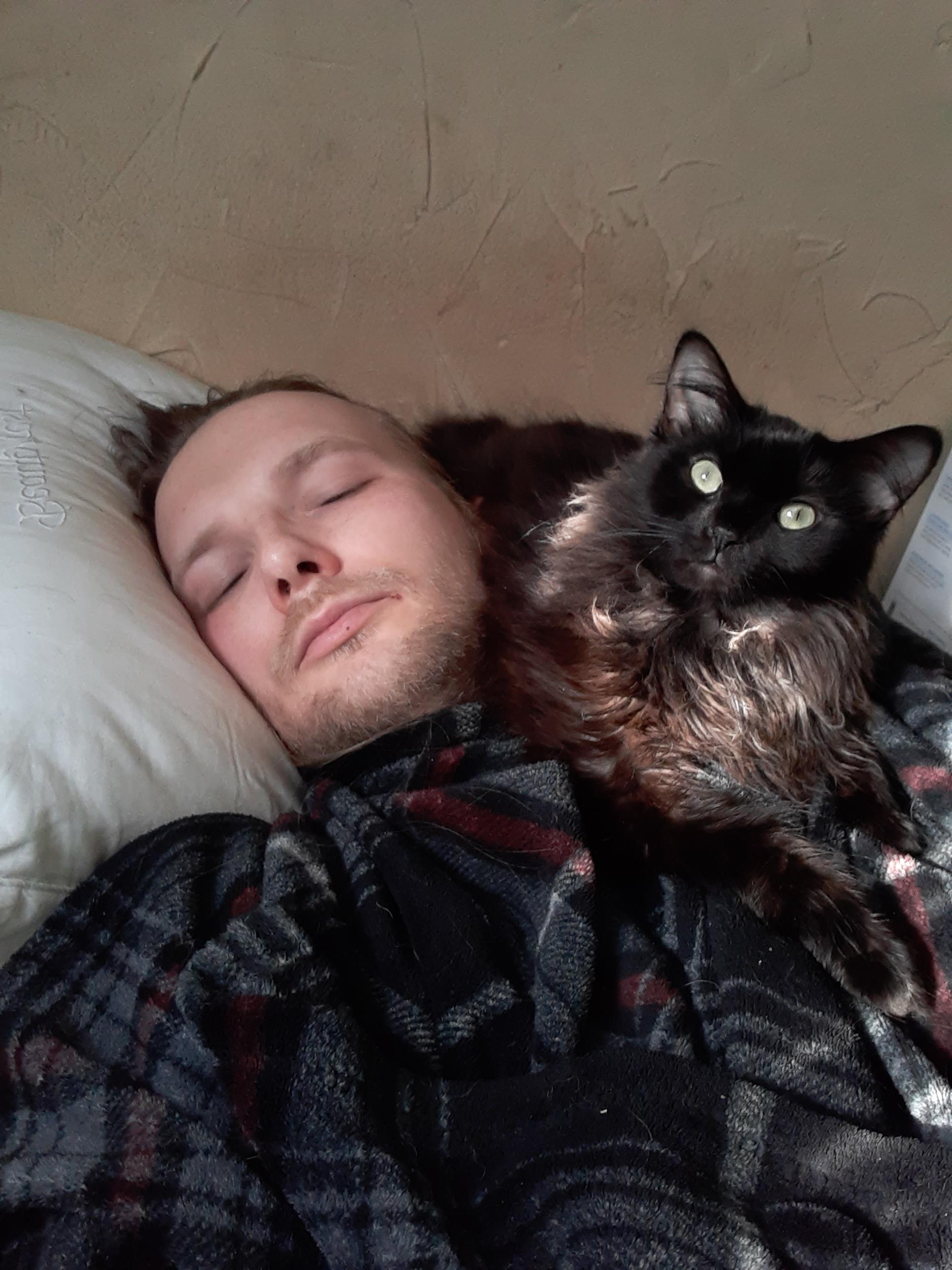 My rescue, Banshee. She was a depressed shelter kitten, meow this is my life | Scrolller