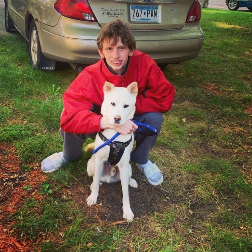 My rescue jindo 🌻 | Scrolller