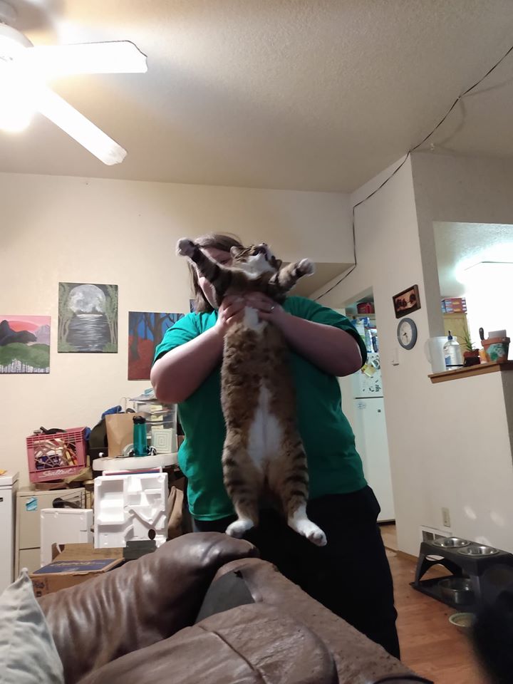 My Roommate Caught my Cat In Her Room! | Scrolller