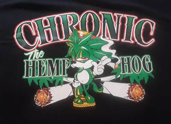 my sanic OC | Scrolller