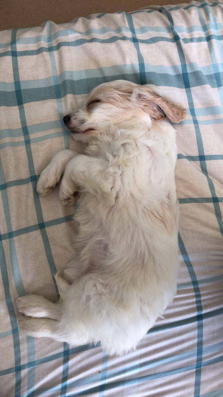 My sleepy baby | Scrolller