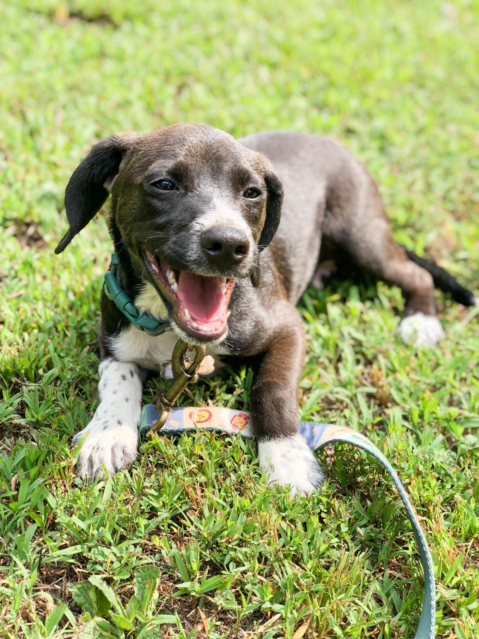 My smiley little boy | Scrolller