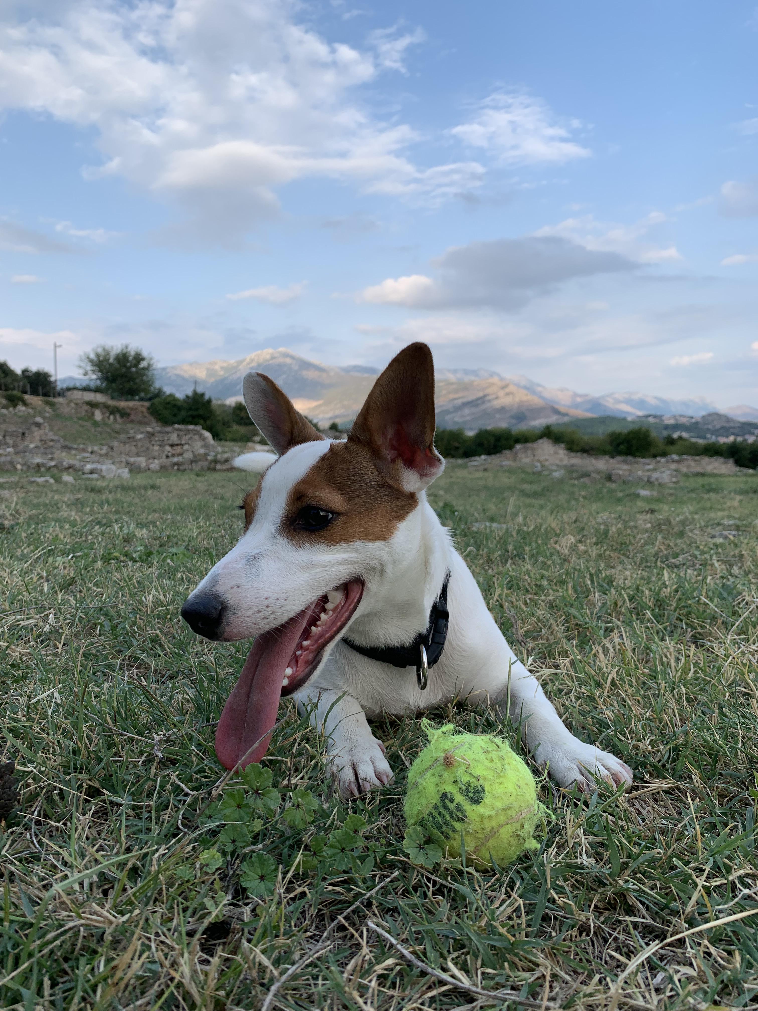 My sweet boy | Scrolller