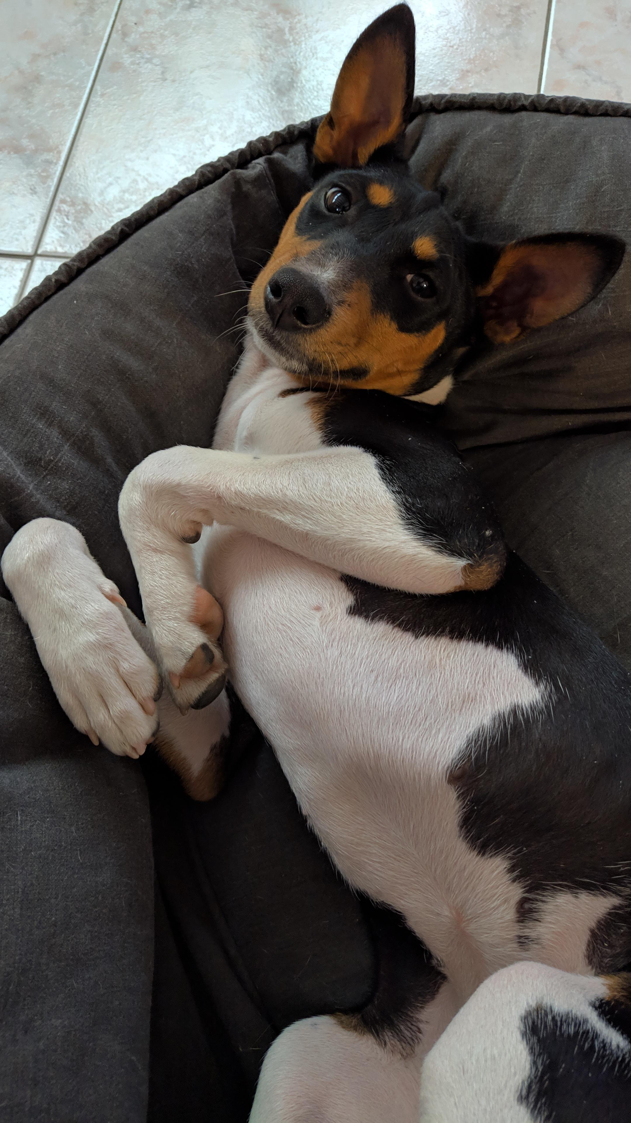 My sweet little rabbit 😂 | Scrolller