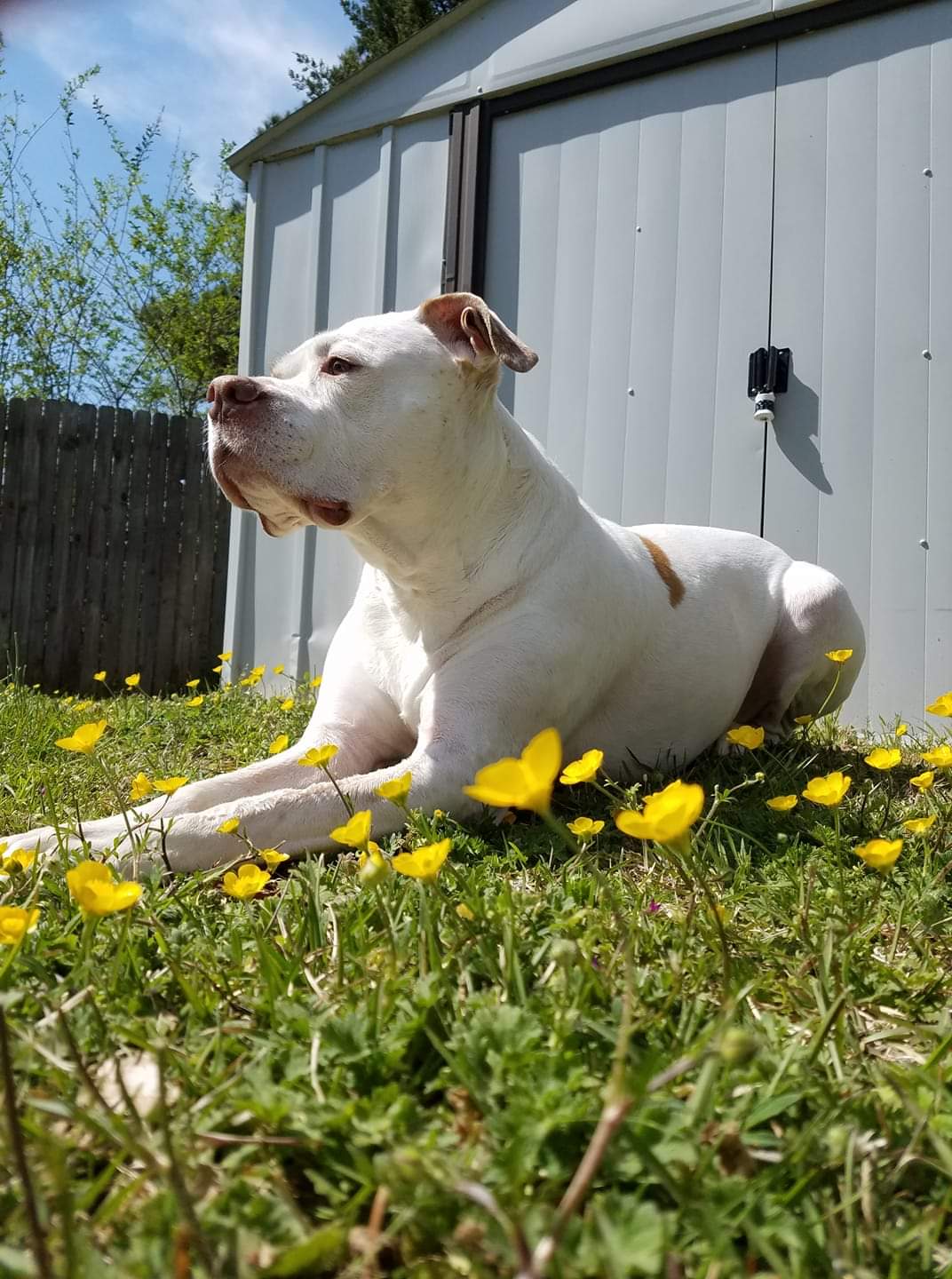 My sweet, old man | Scrolller