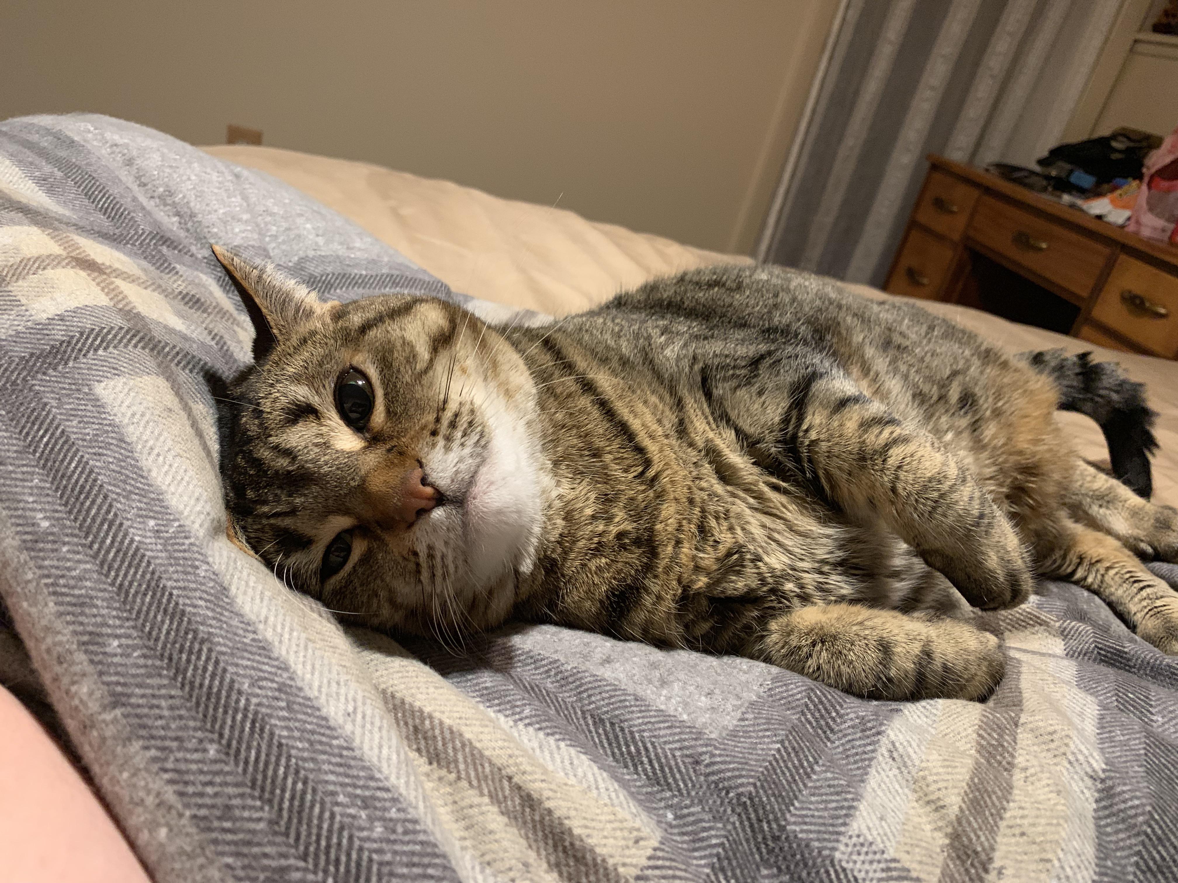 My sweetheart mirin in bed | Scrolller