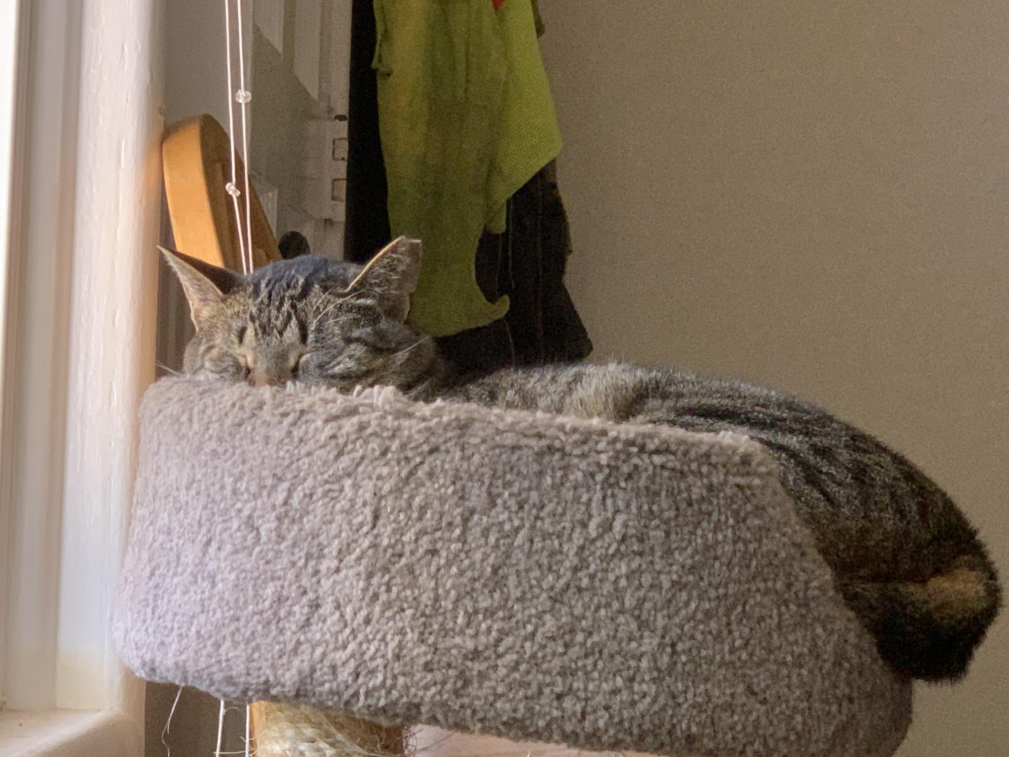 My swirly spotty boy! | Scrolller