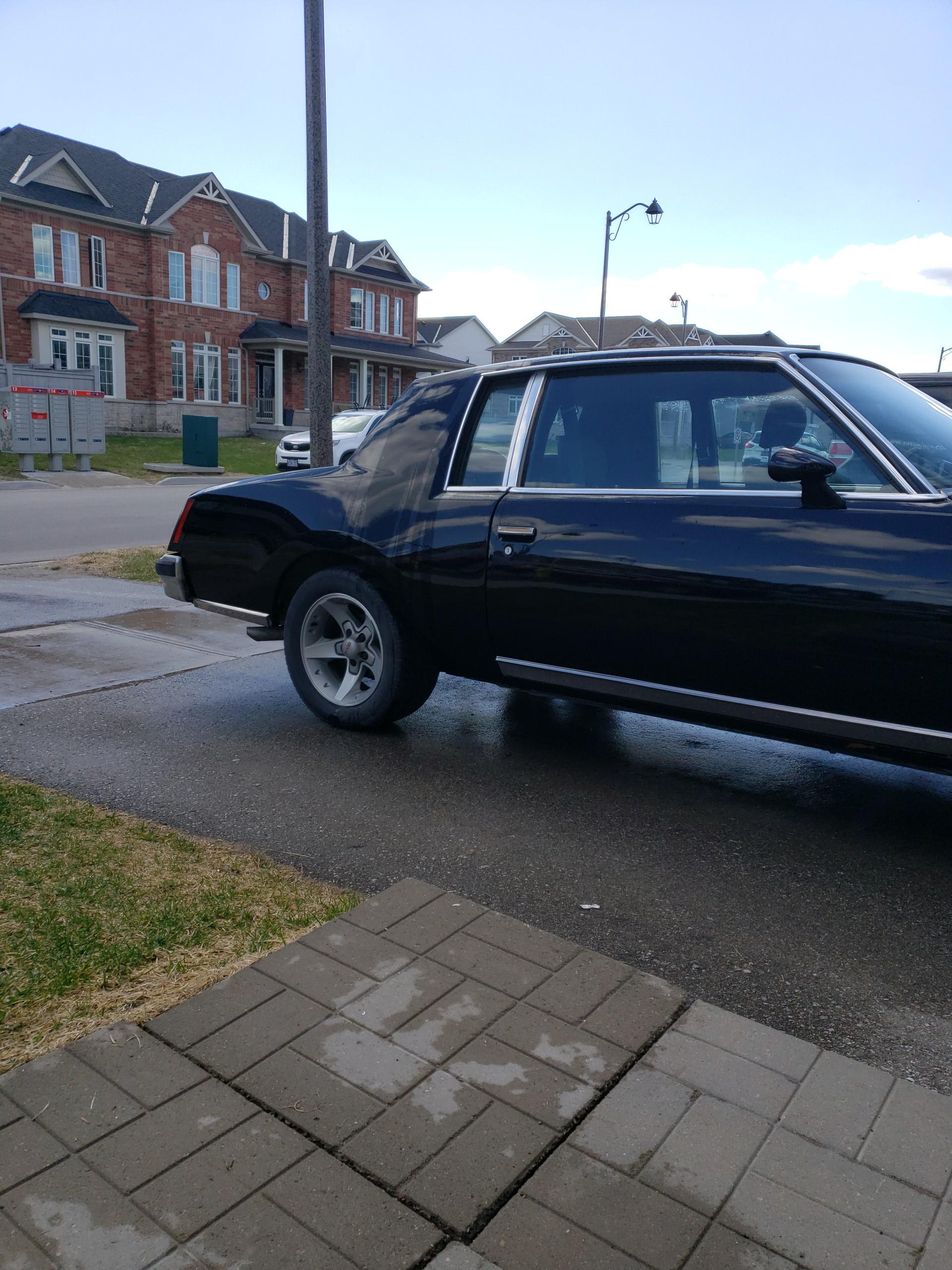 My T5 355 1980 Regal | Scrolller