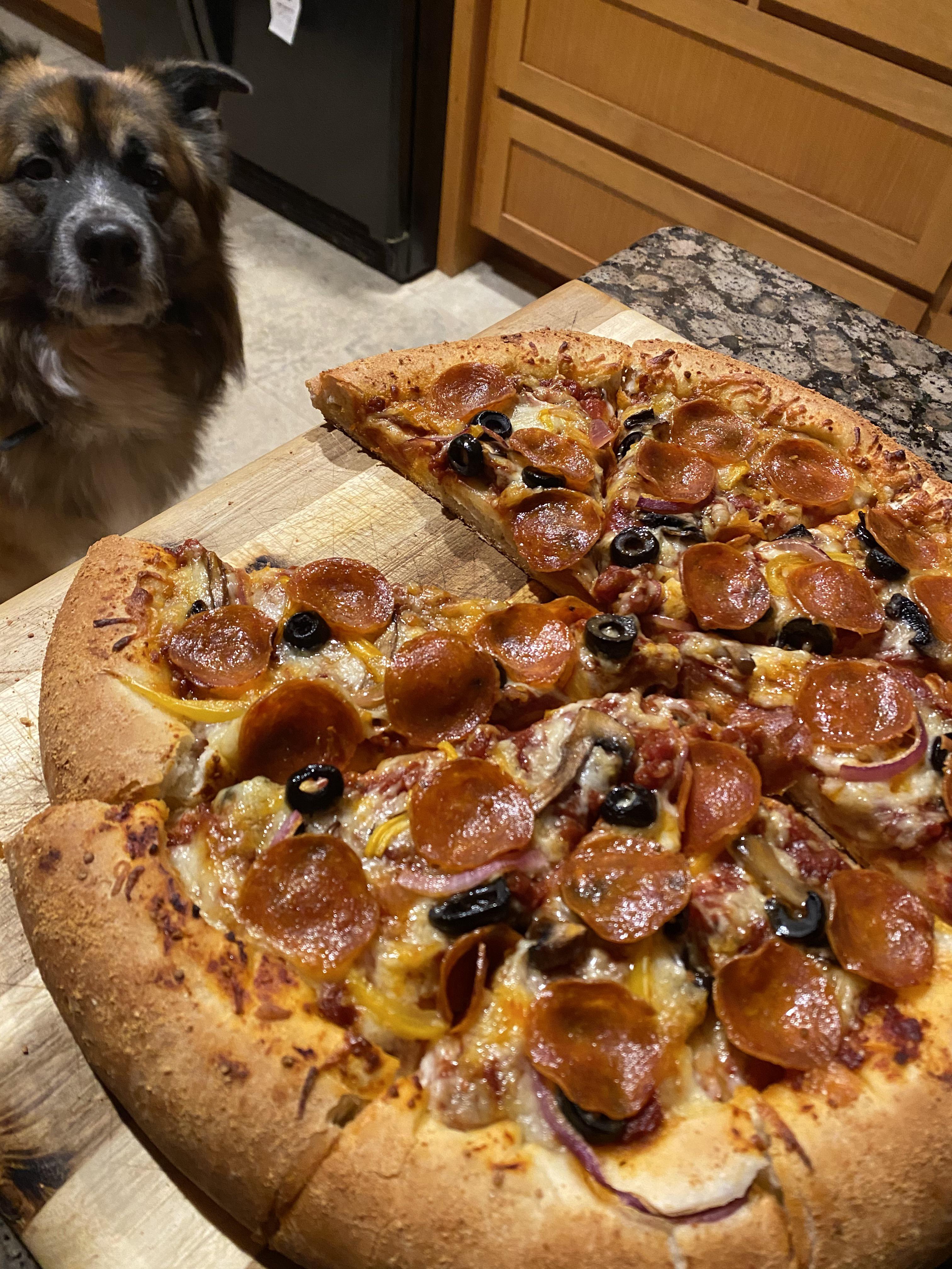 My try at a cheese stuffed crust ft. A good boy | Scrolller