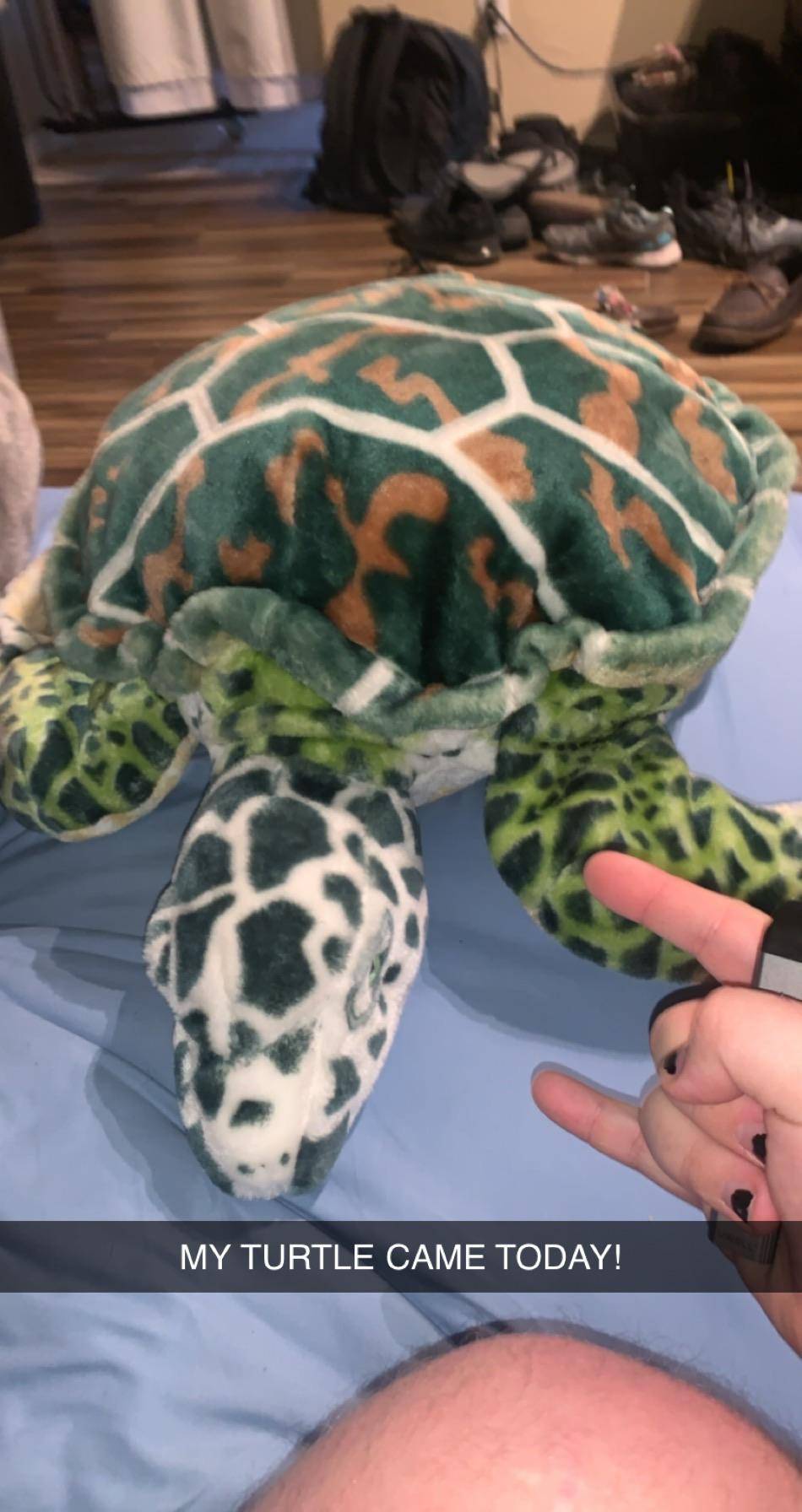 MY TURTLE CAME | Scrolller