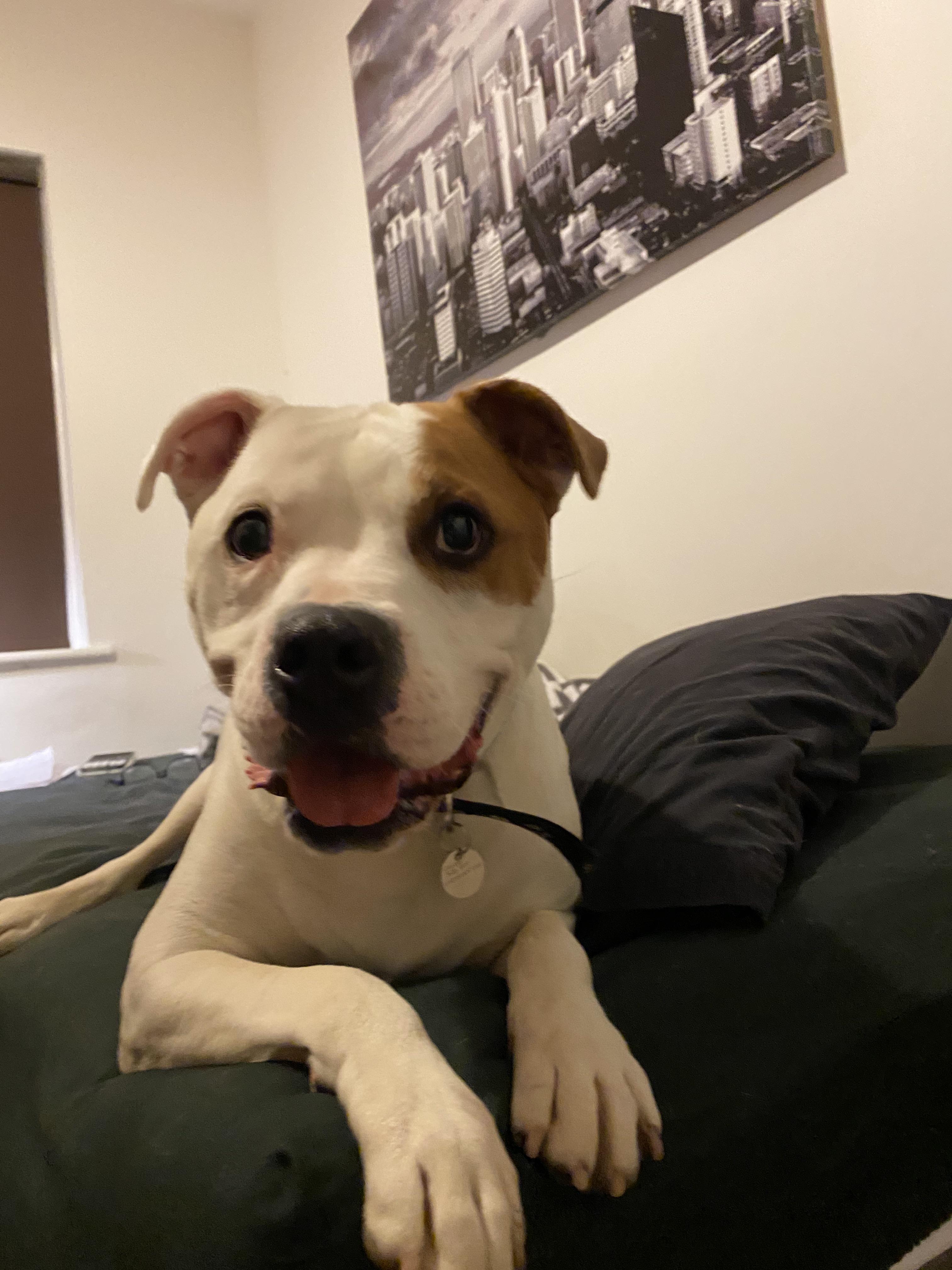 Always smiling | Scrolller