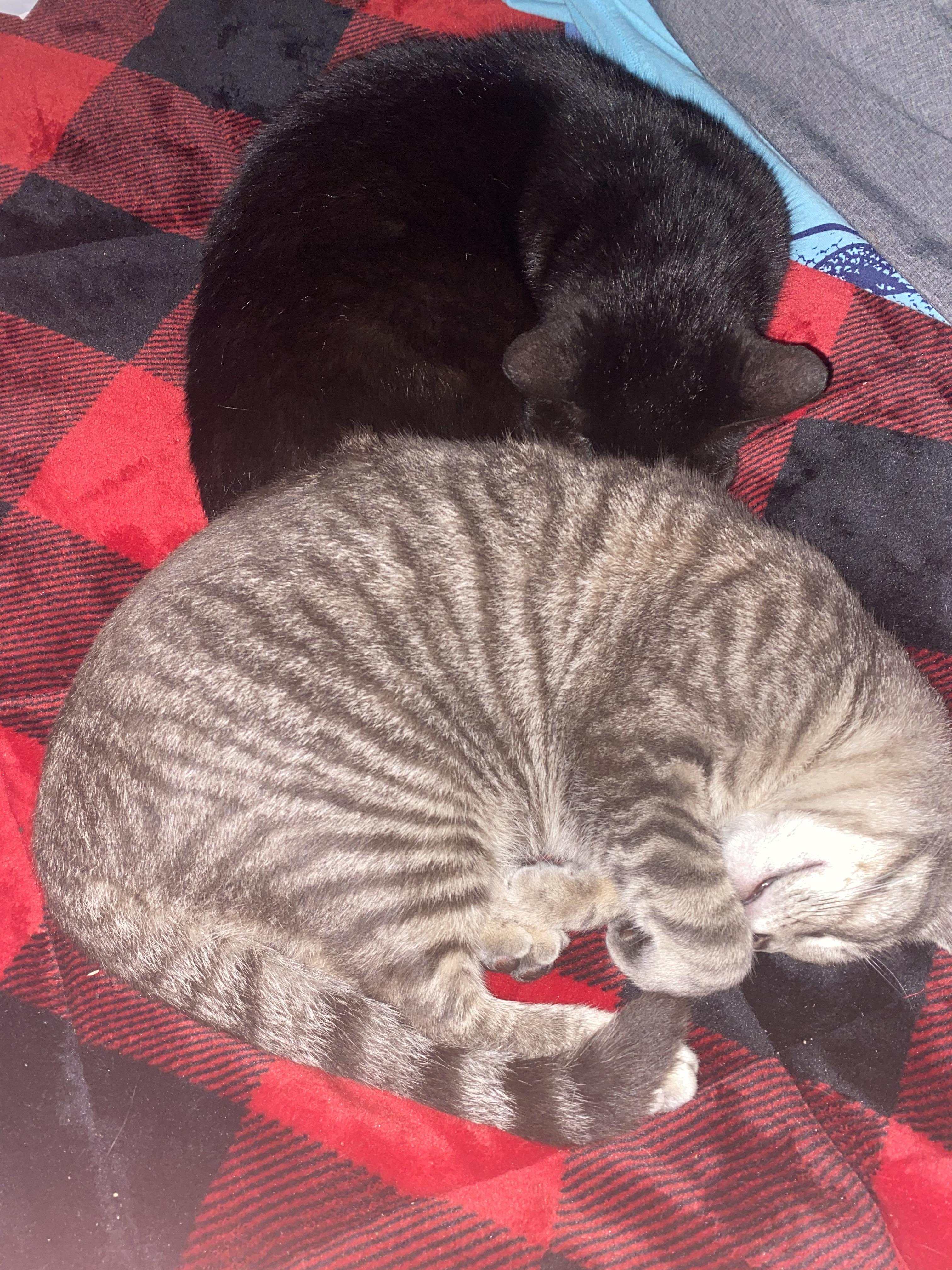 My void (Olivia) and her adopted daughter (Cloe) | Scrolller