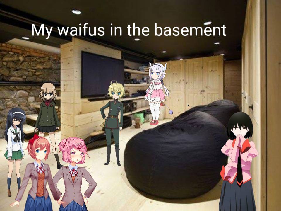 My waifus in the basement | Scrolller