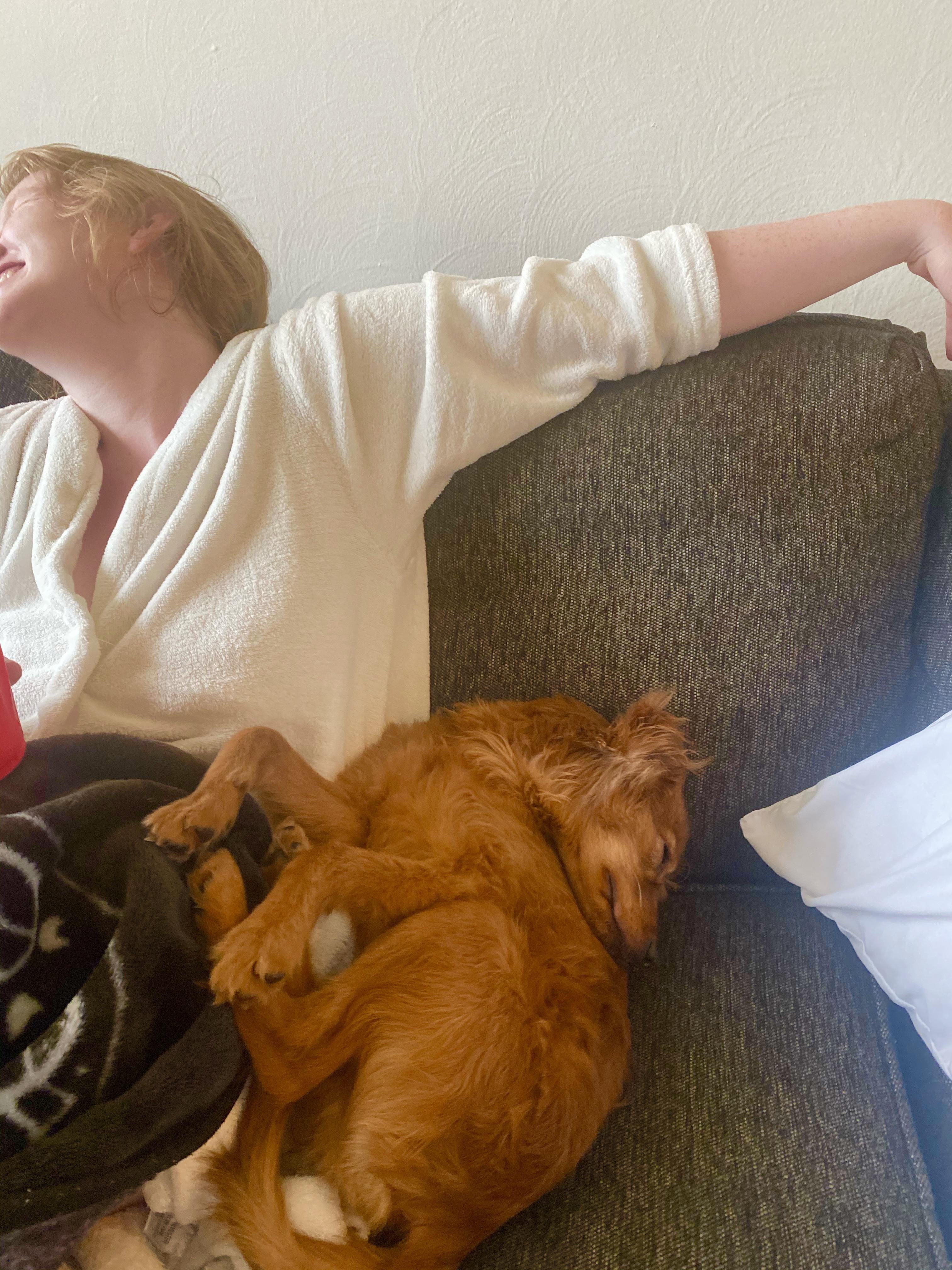 My wife laughing at how Ol’ Mr. Murph was sleeping | Scrolller