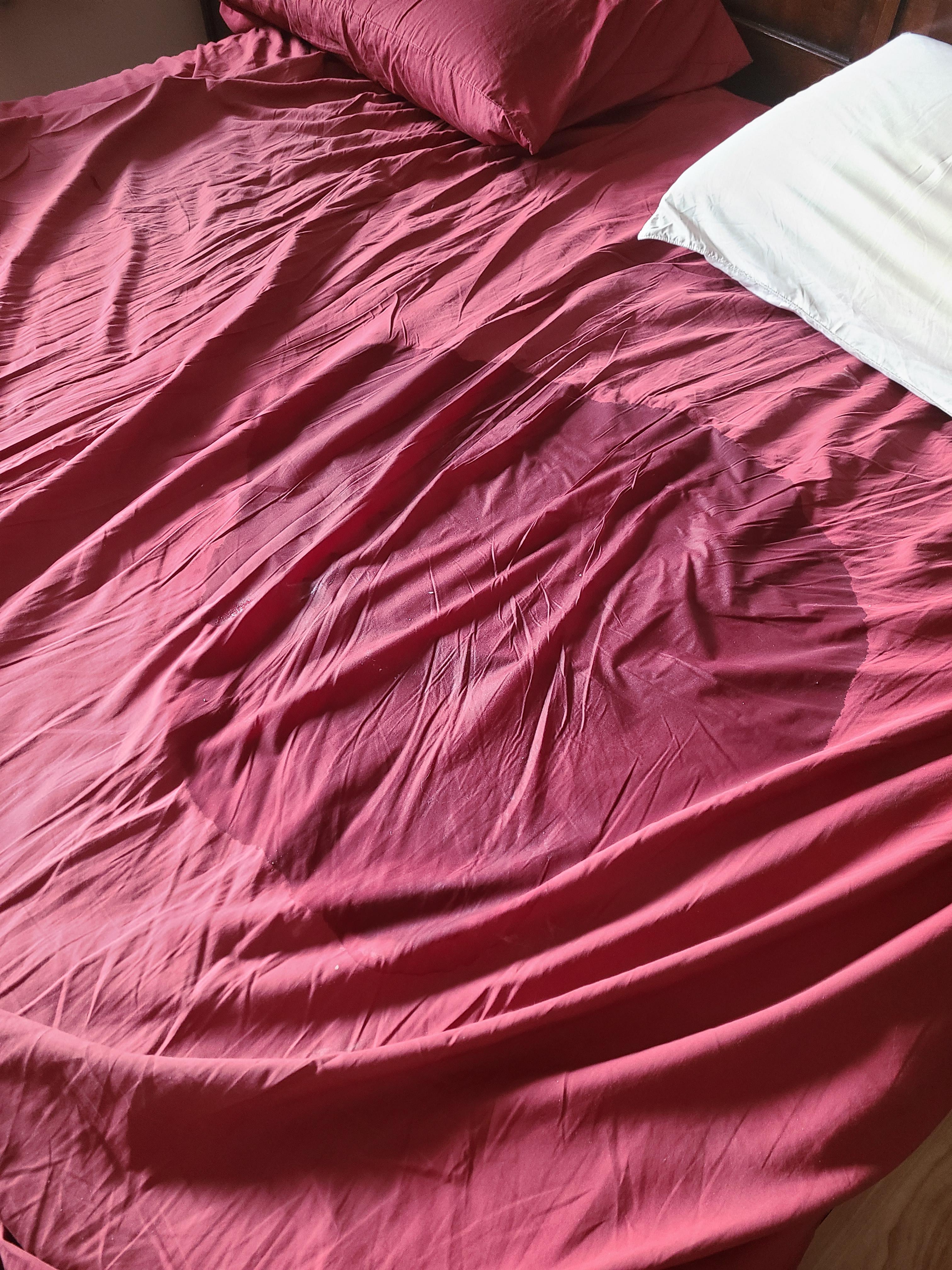 My Wife Squirted All Over This Morning I Like Making Her Wet F 42 Oc Scrolller