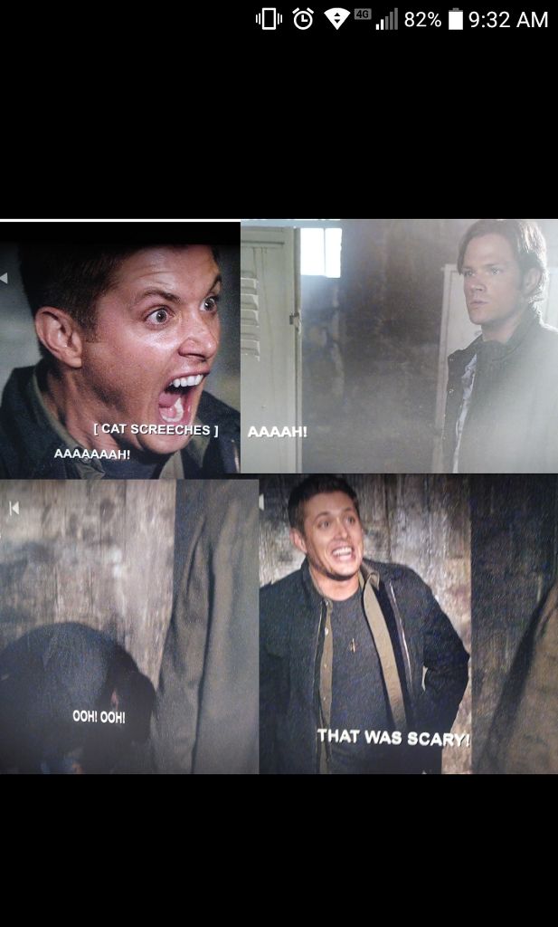 My wife's favorite moment | Scrolller