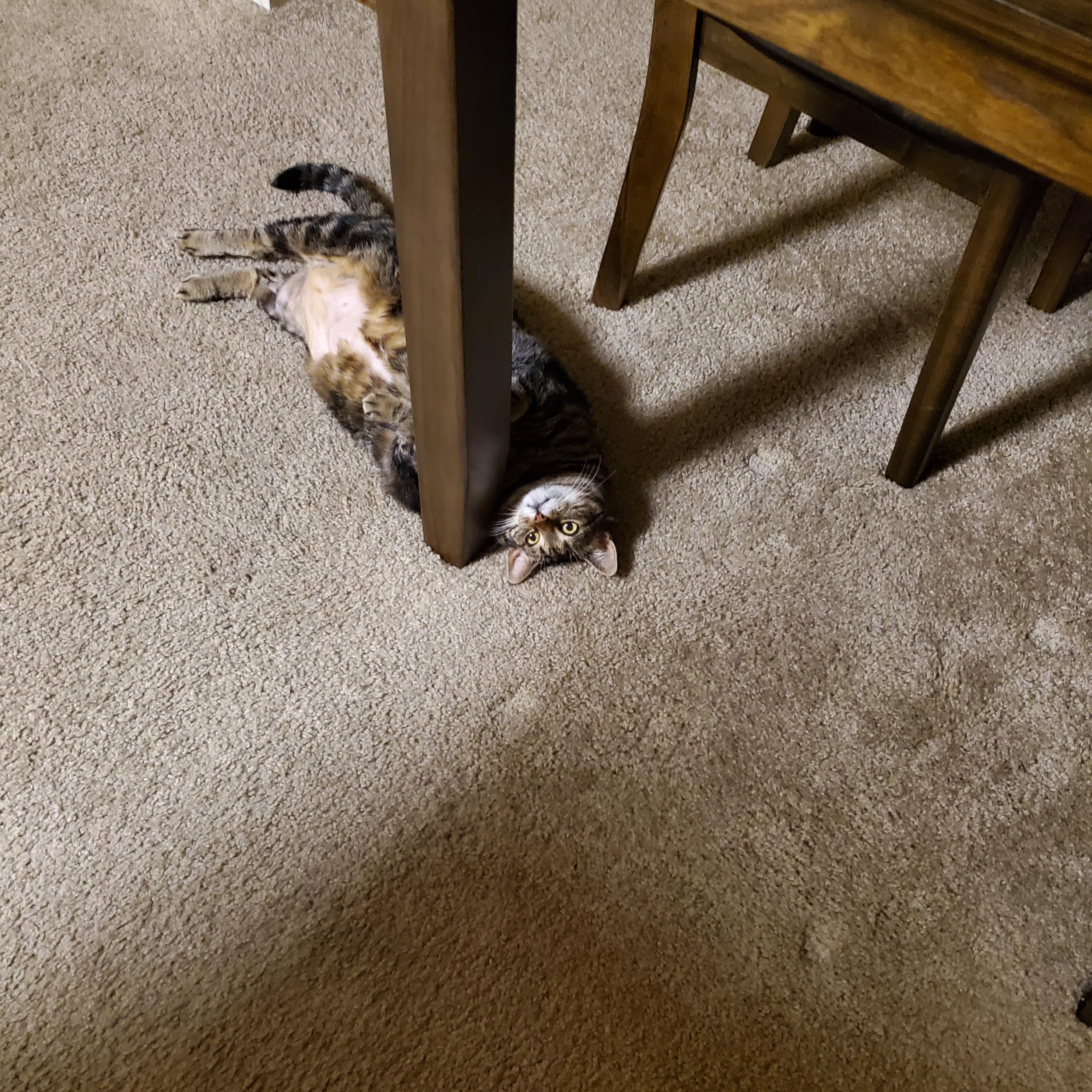 My wonderful little weirdo | Scrolller