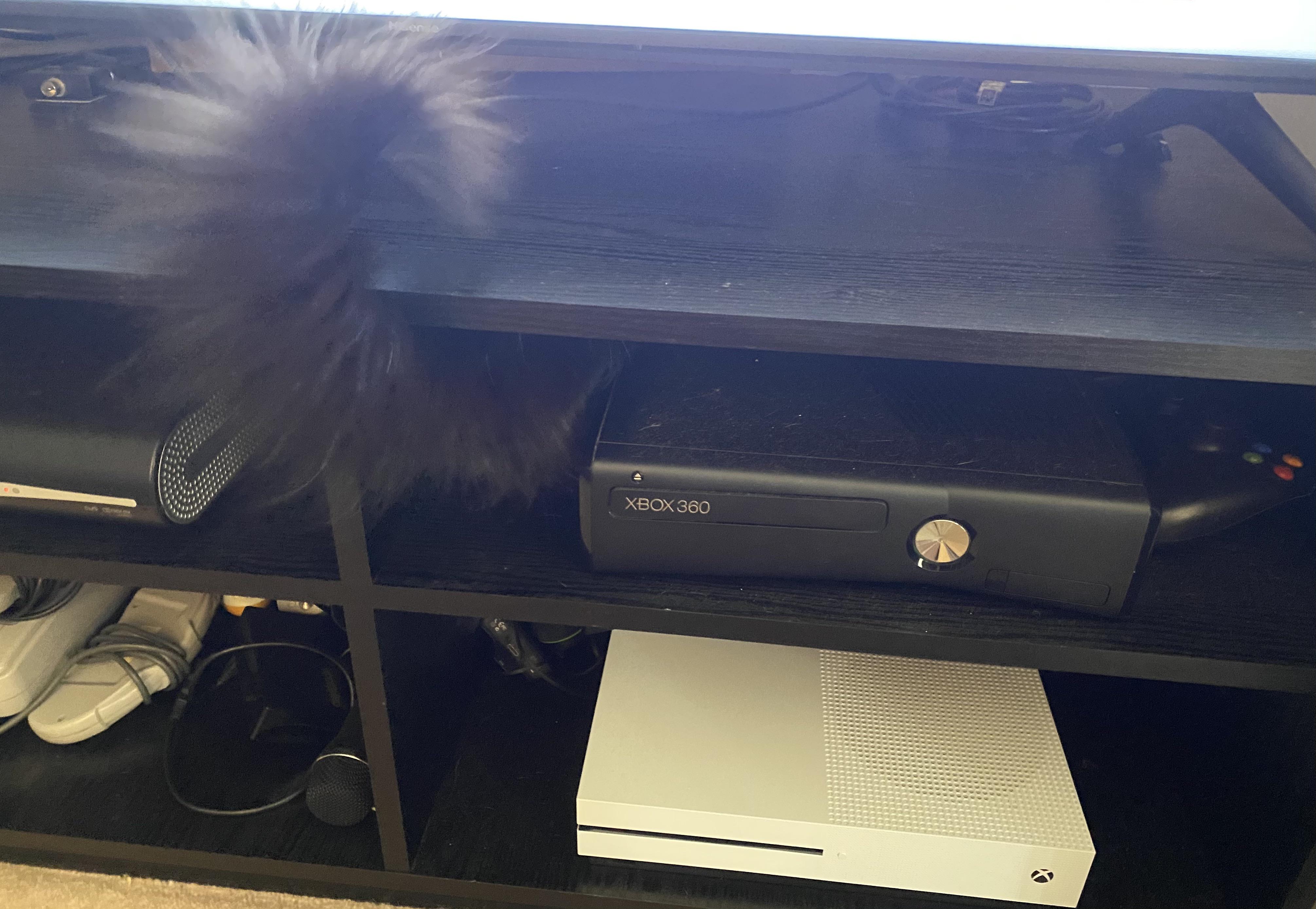 My Xbox 360 has grown a tail. Is this a common issue? | Scrolller