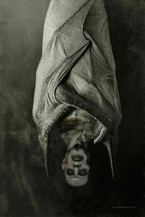 Mythoholics - Are Vampires Real (Episode Available Now) Streaming on Apple & Spotify | Scrolller