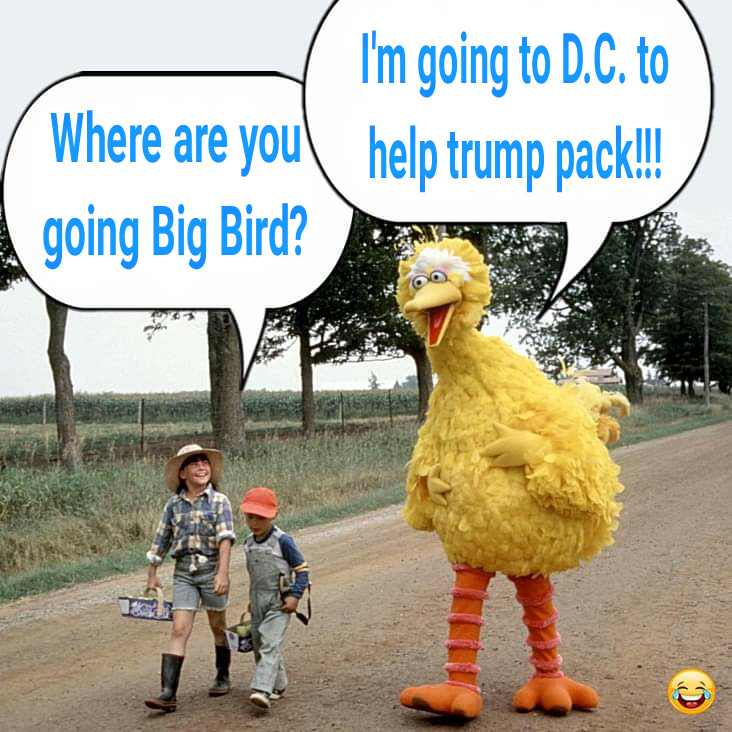 Na Na Na, Hey Hey, Good bye | Scrolller