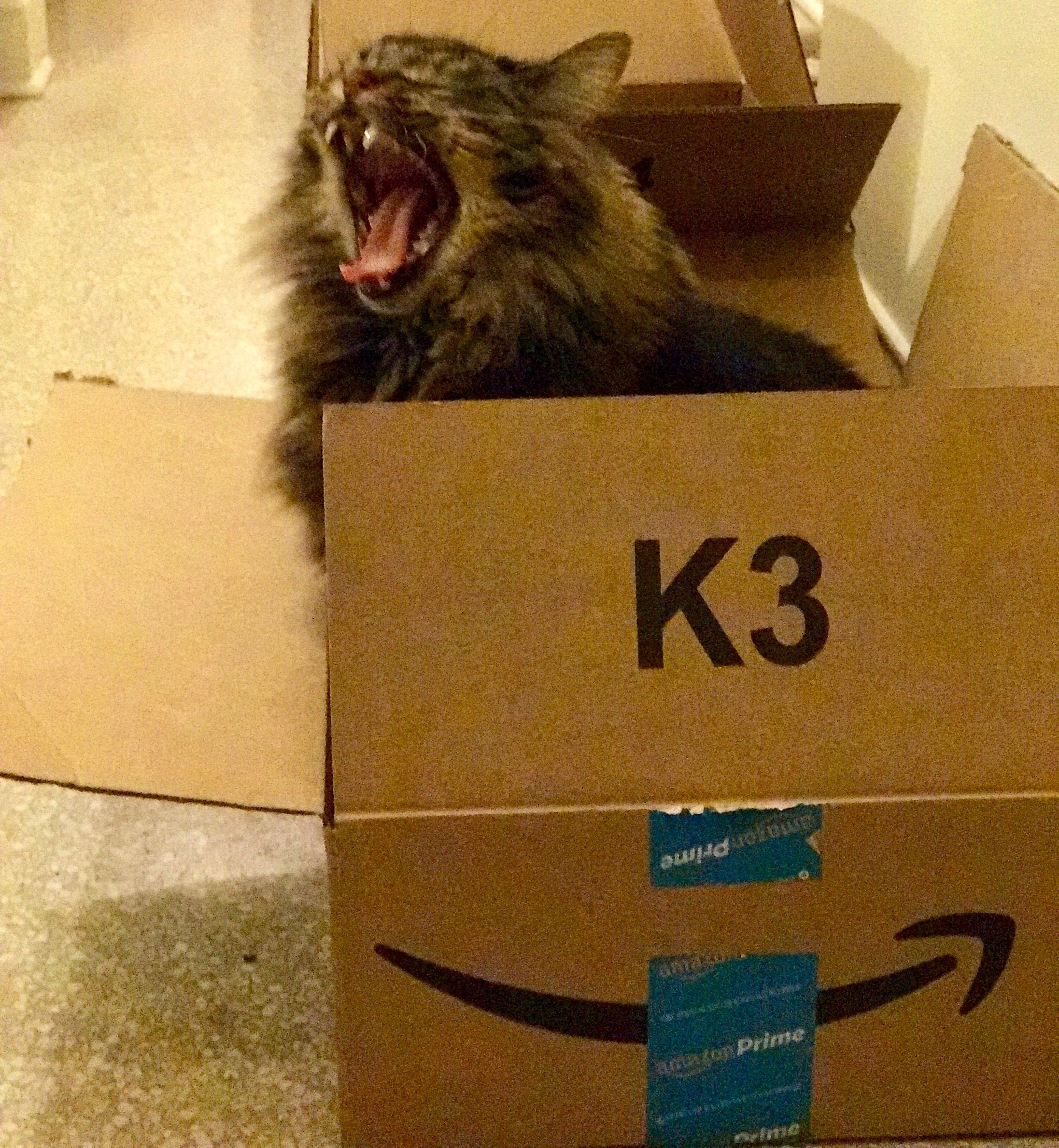 Nacho announces that he's in a box | Scrolller