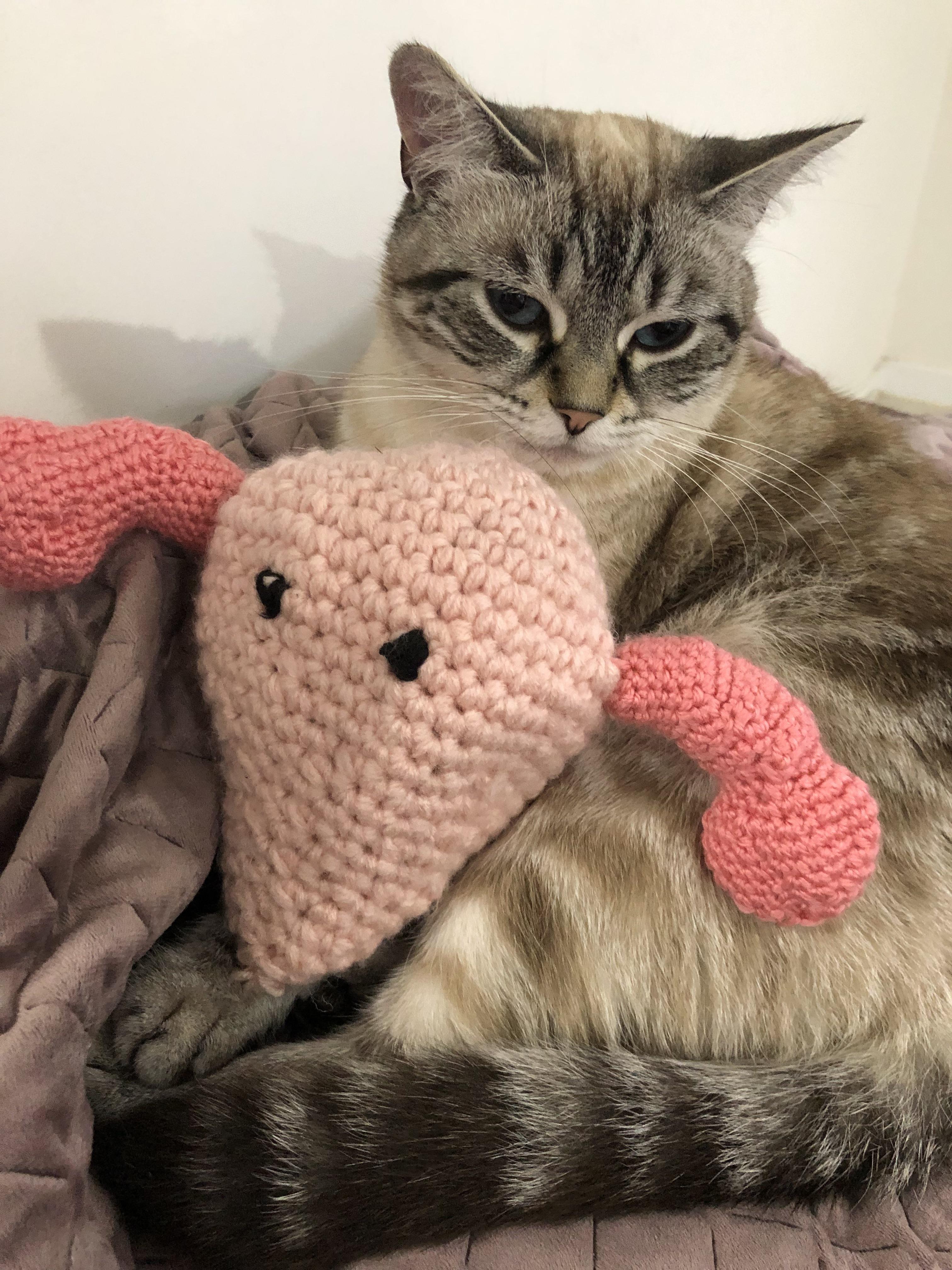 Name this plush I made, right answers only | Scrolller