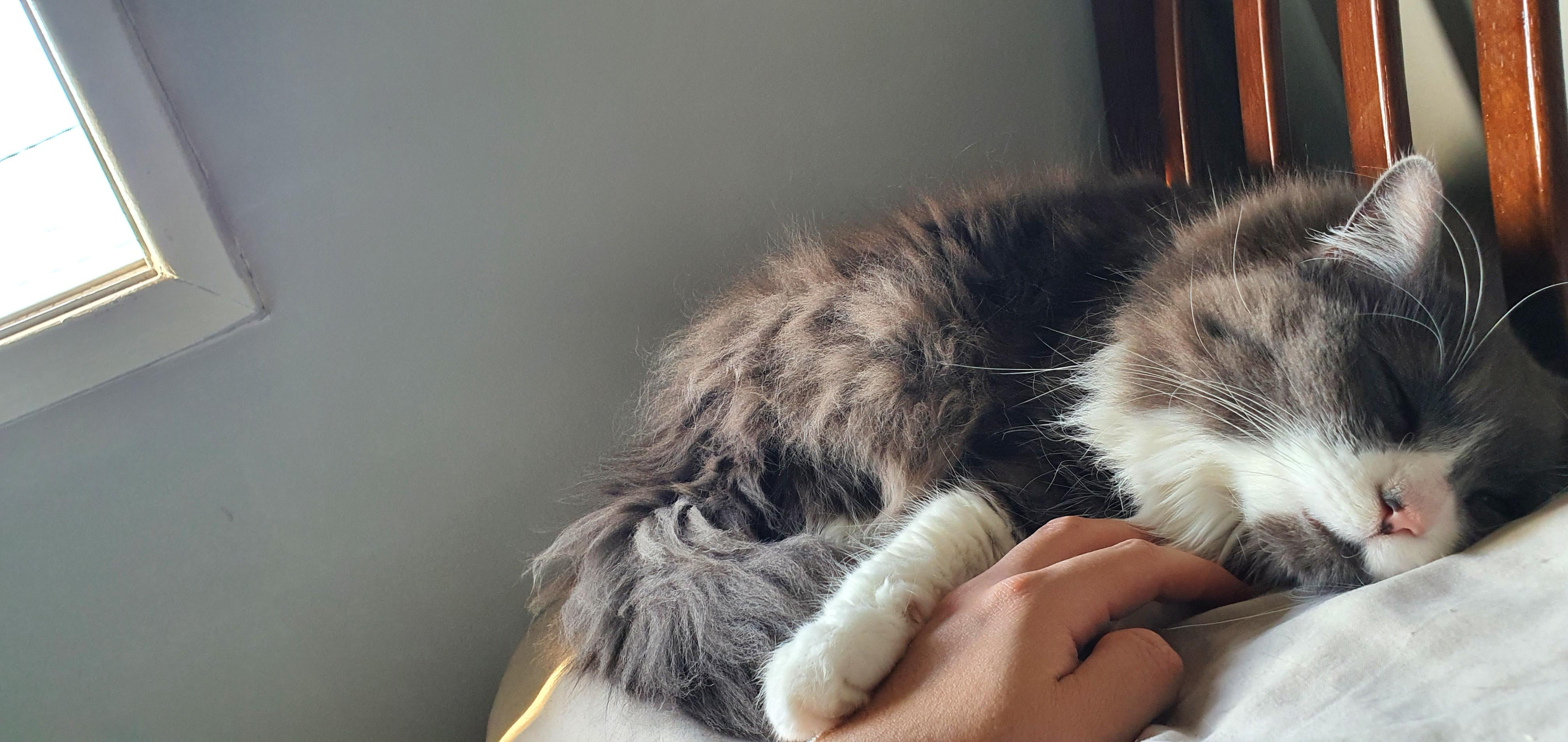 Nap time | Scrolller