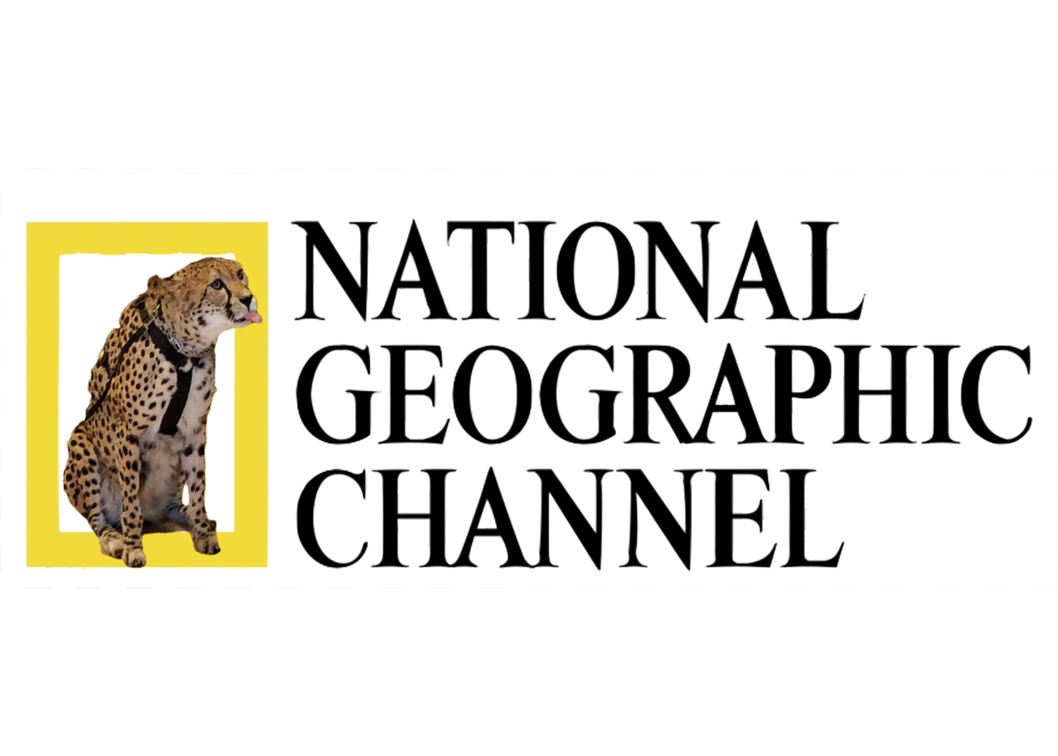 National geographic logo | Scrolller