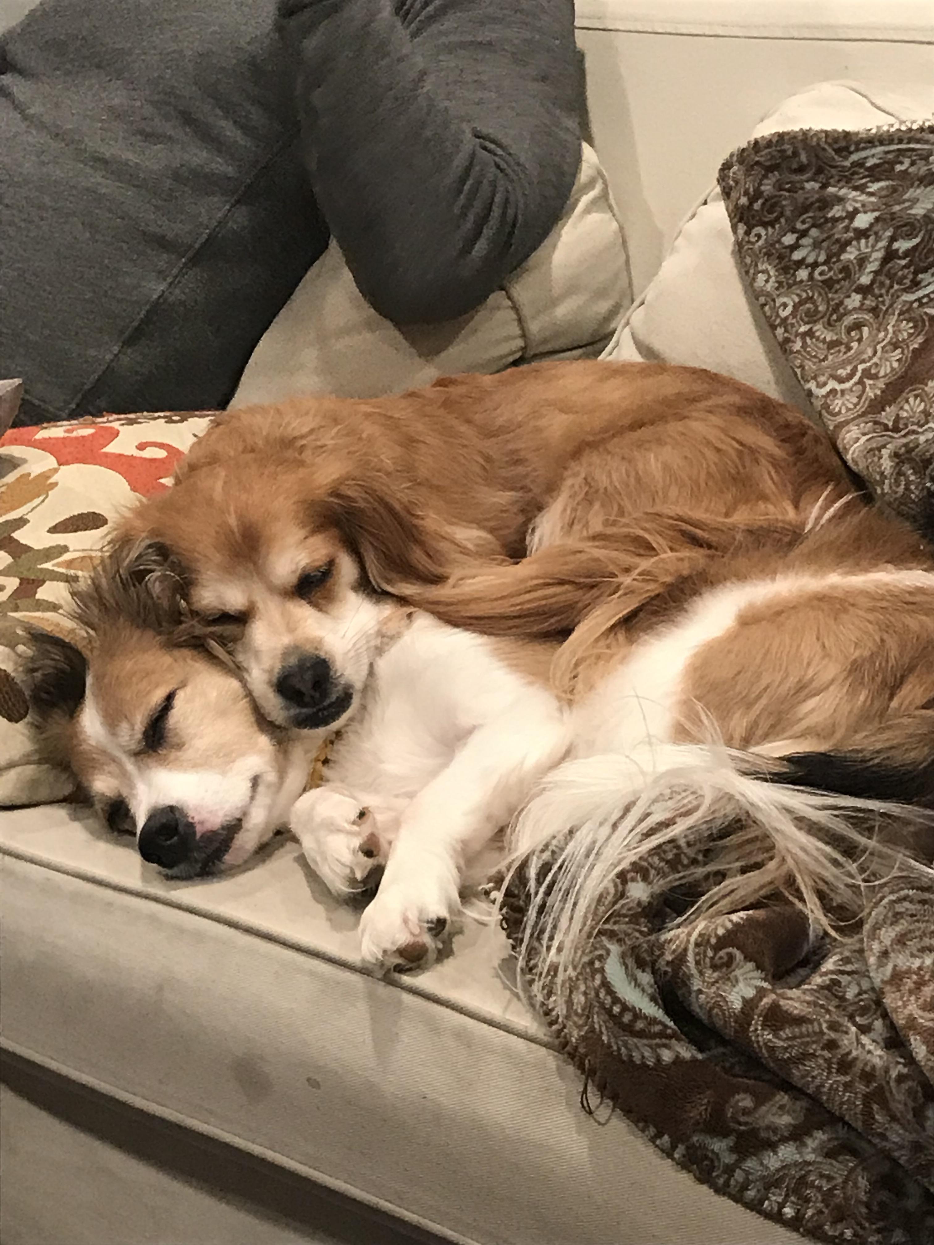 National sibling day | Scrolller