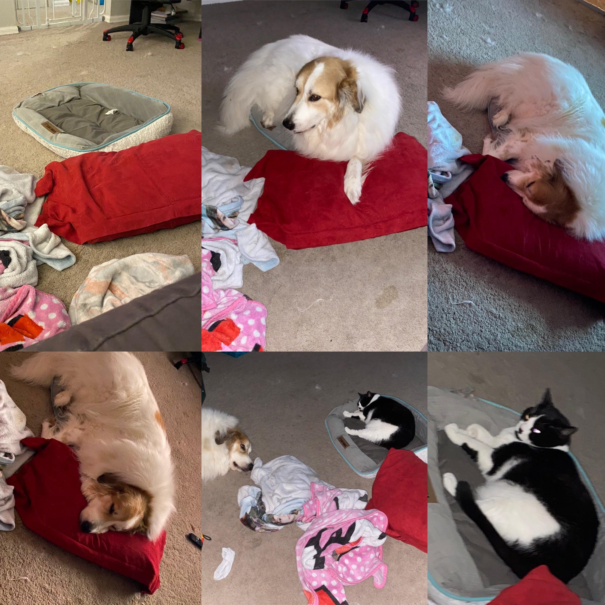 Natural progression... | Scrolller