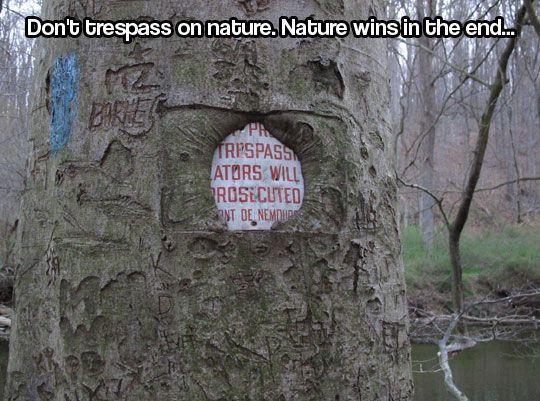 Nature Wins Scrolller