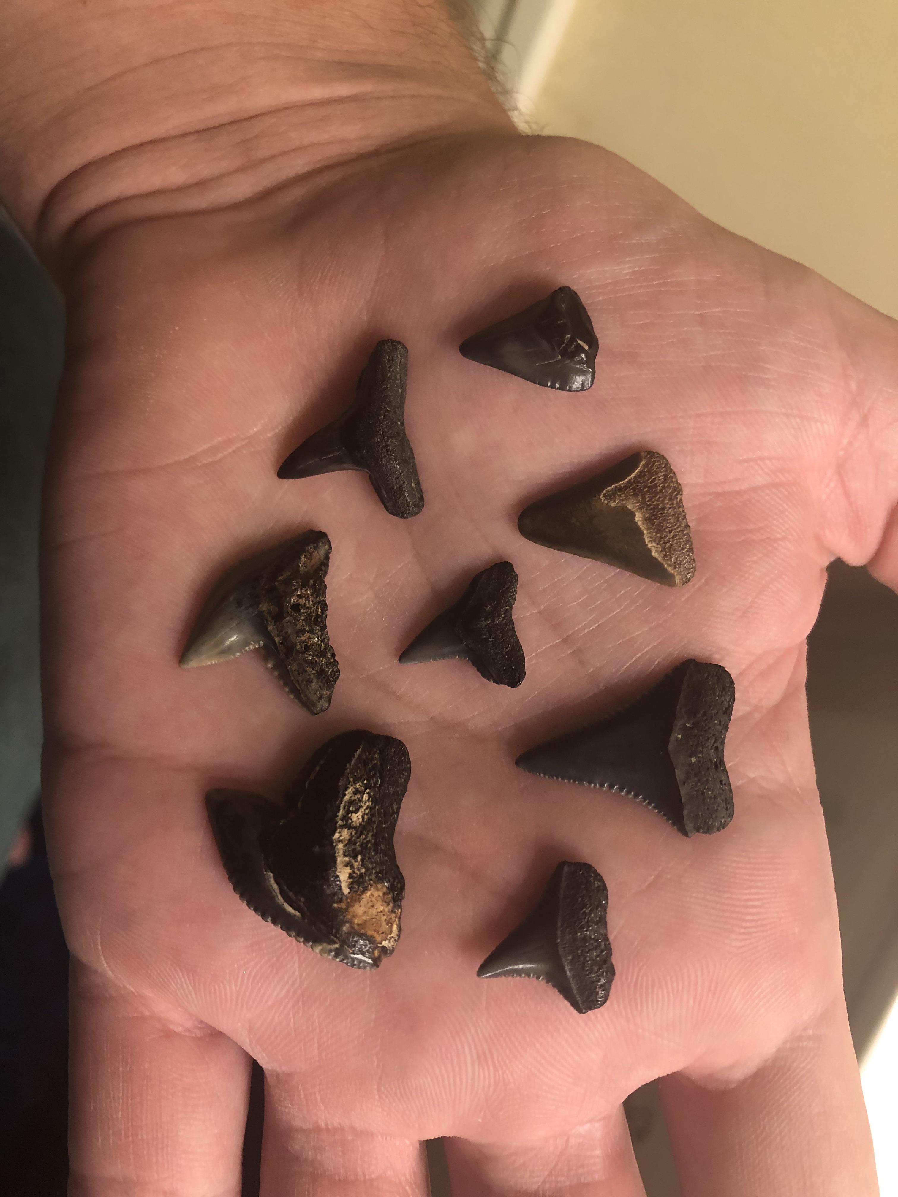 Need Help Identifying- Any Input Appreciated | Scrolller